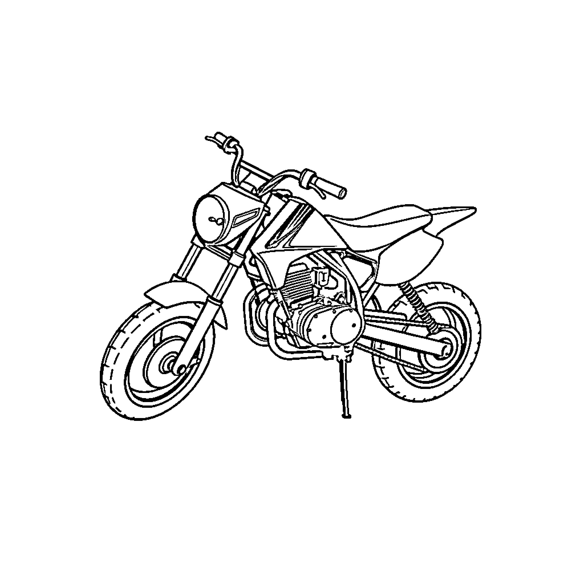 Best Marula Tree Coloring Pages (Free Printable PDF)