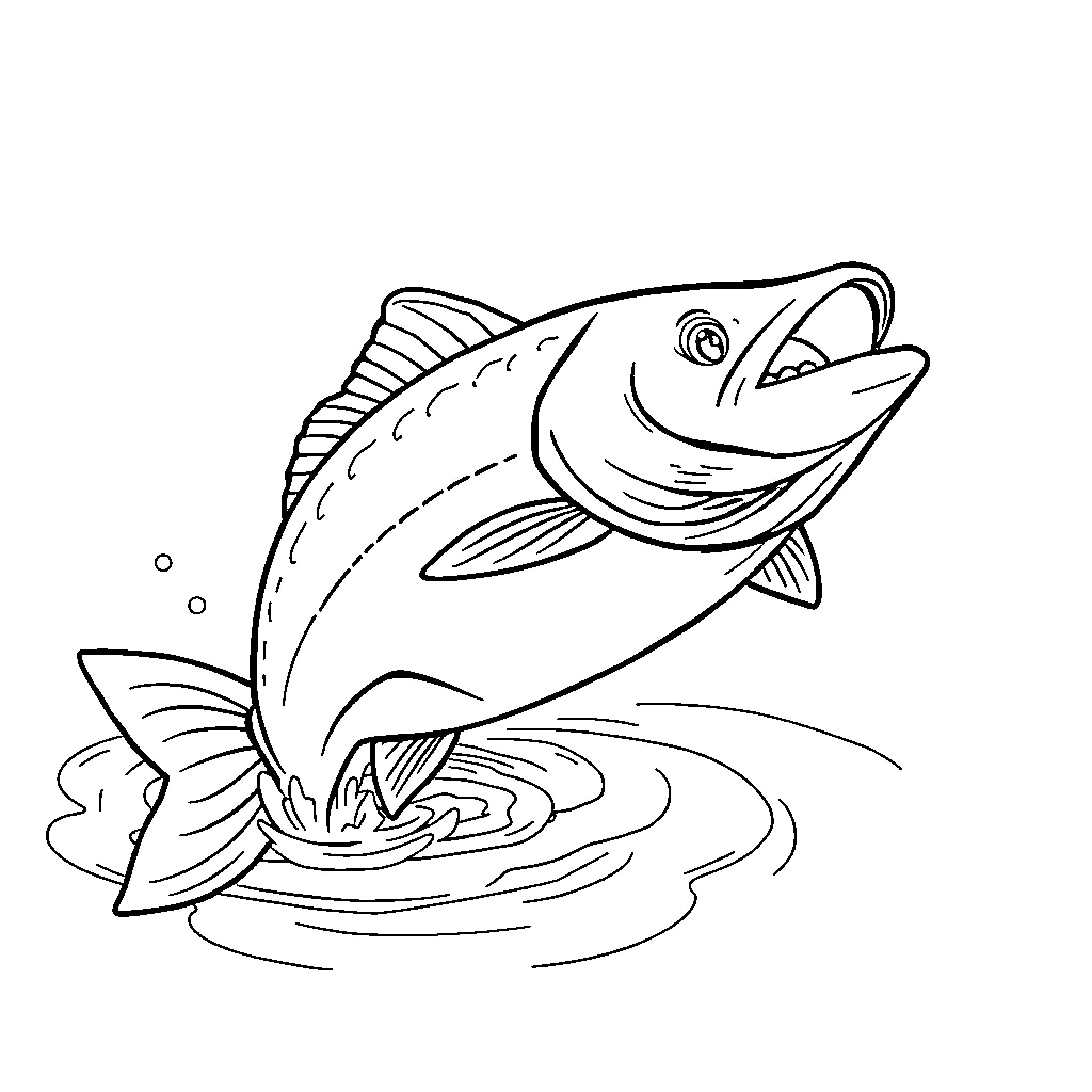 Best Salmon Coloring Pages (Free Printable PDF)