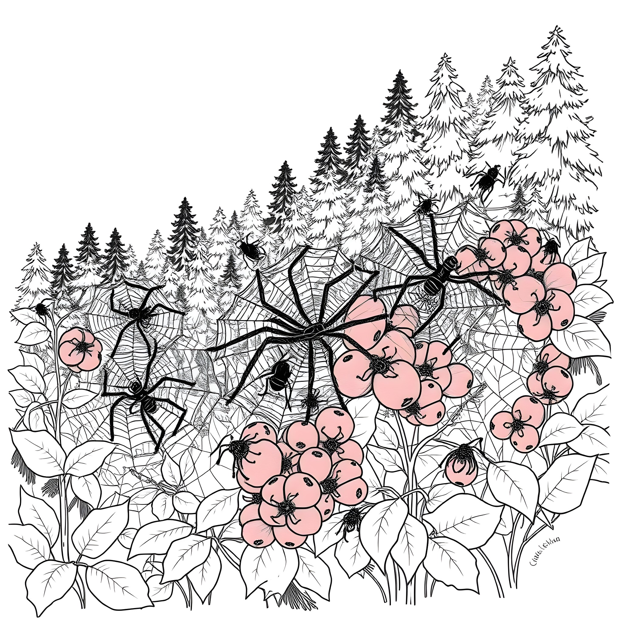 184 Best Spider Coloring Pages (Free Printable PDFs)