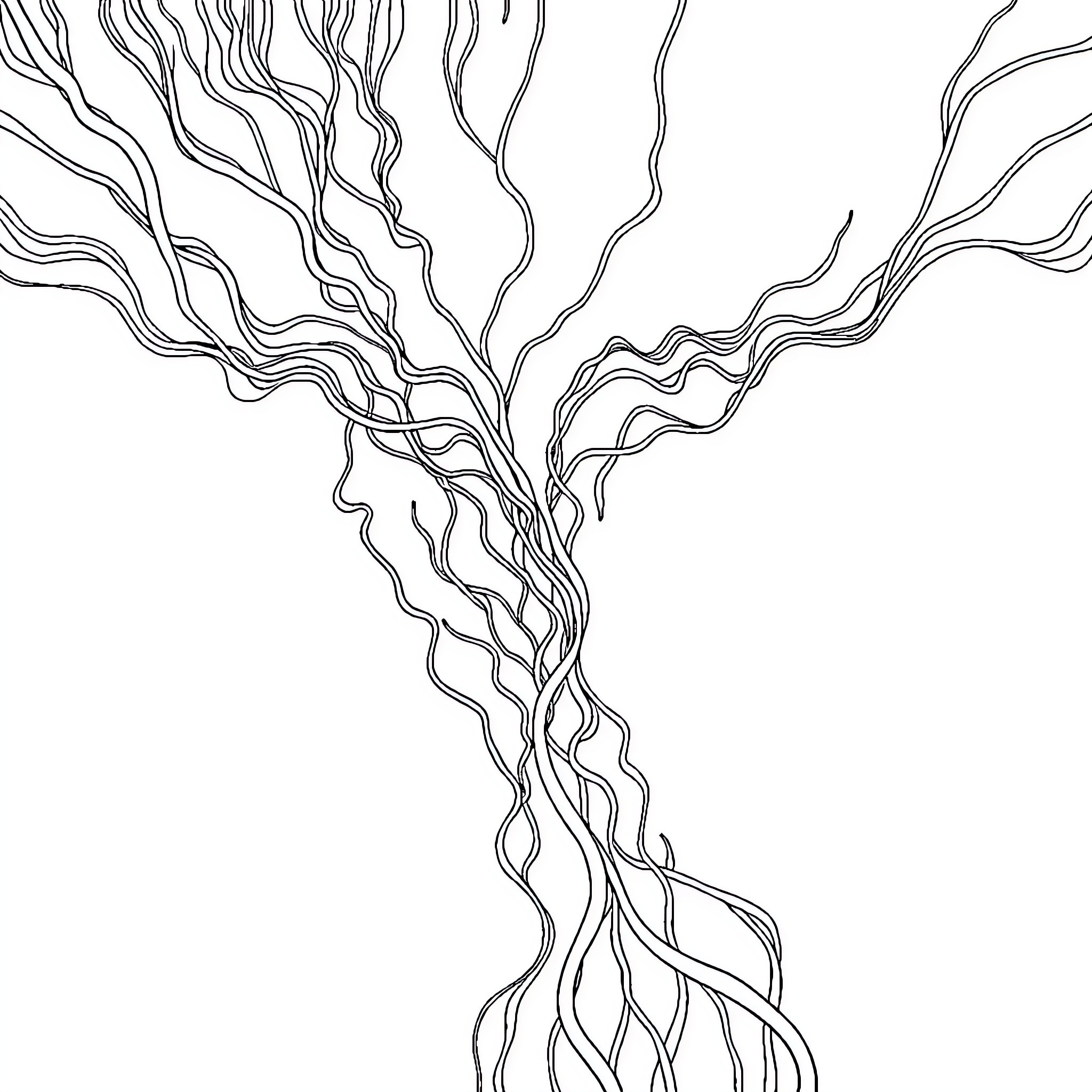 Best Vestibular System Coloring Pages (Free Printable PDF)