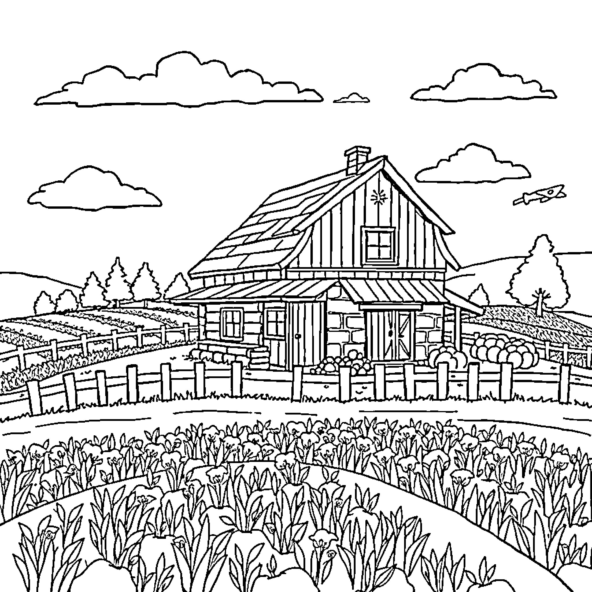 Best Farm Coloring Pages (Free Printable PDF)
