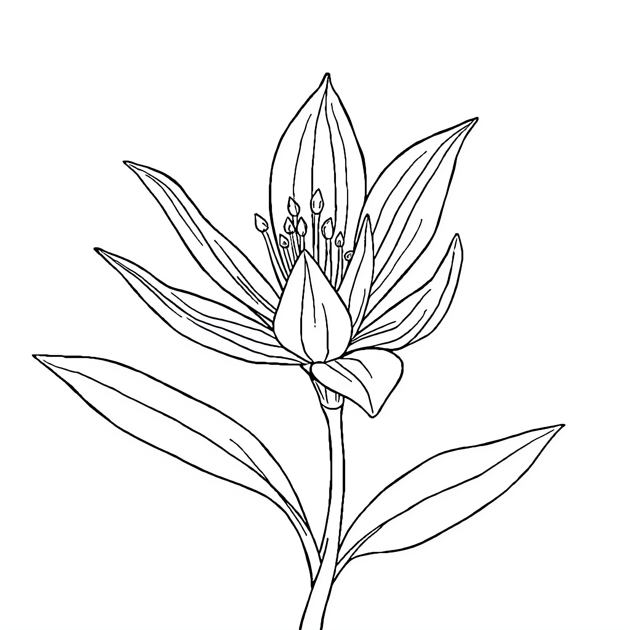 Best Fanta Coloring Pages (Free Printable PDF)