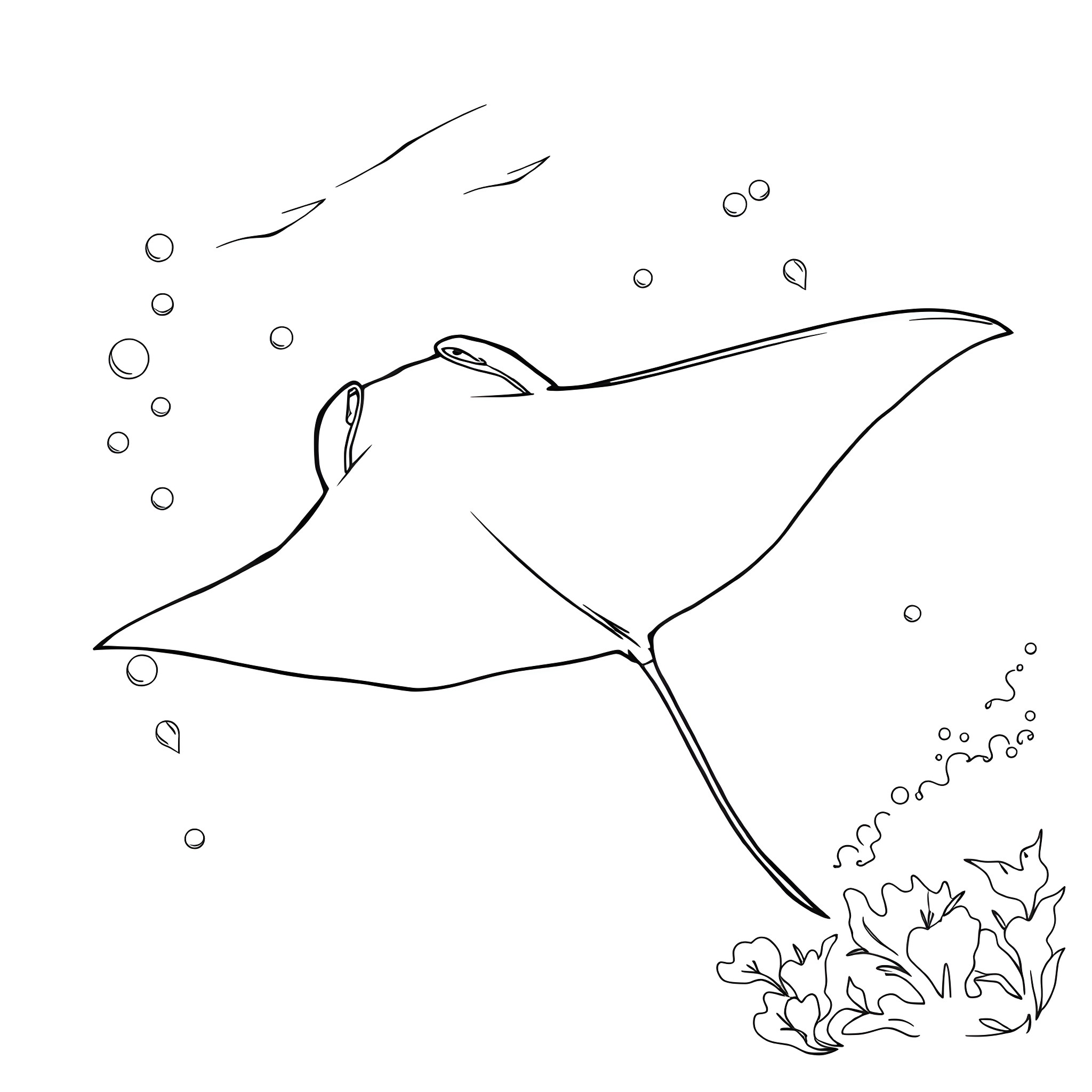 Best Manta Ray Coloring Pages (Free Printable PDF)