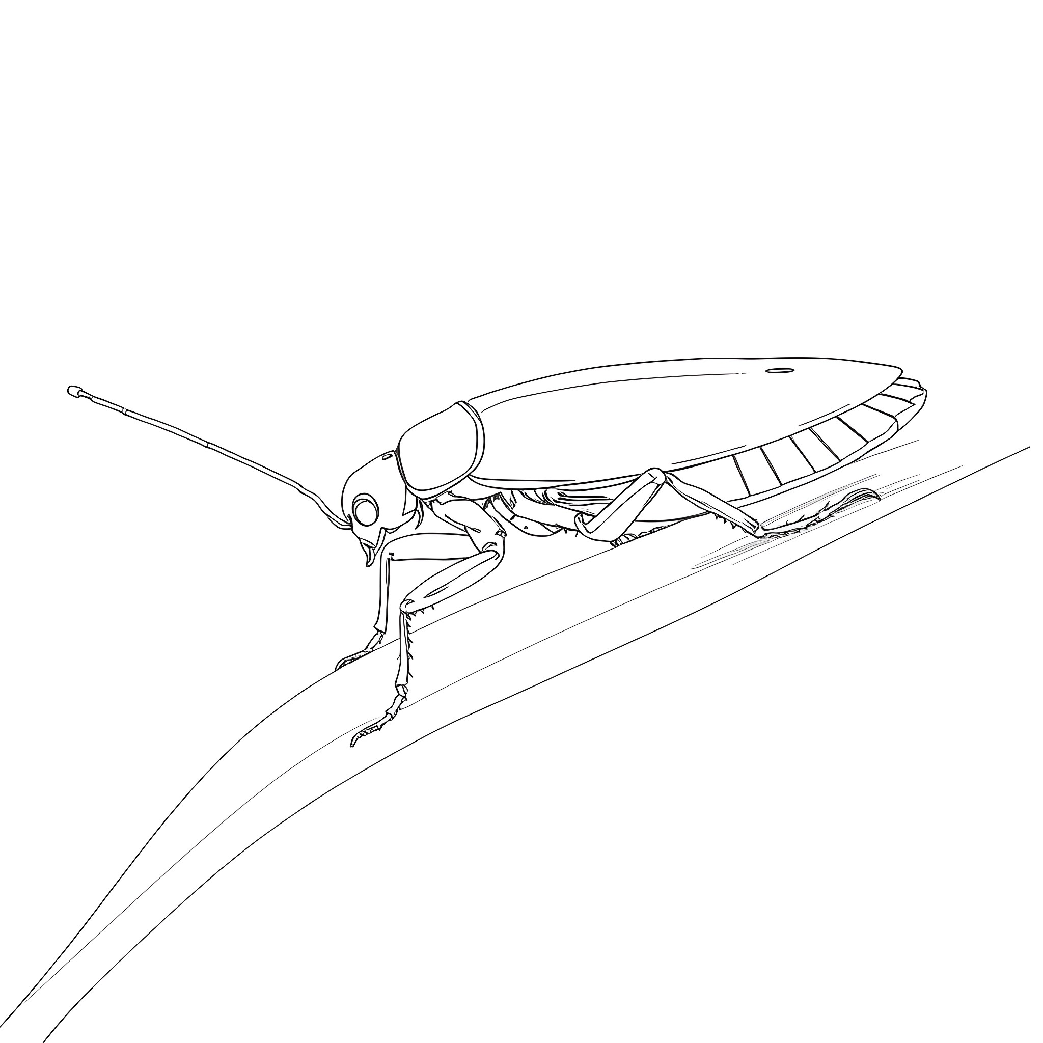 54 Best Cockroach Coloring Pages (Free Printable PDFs)