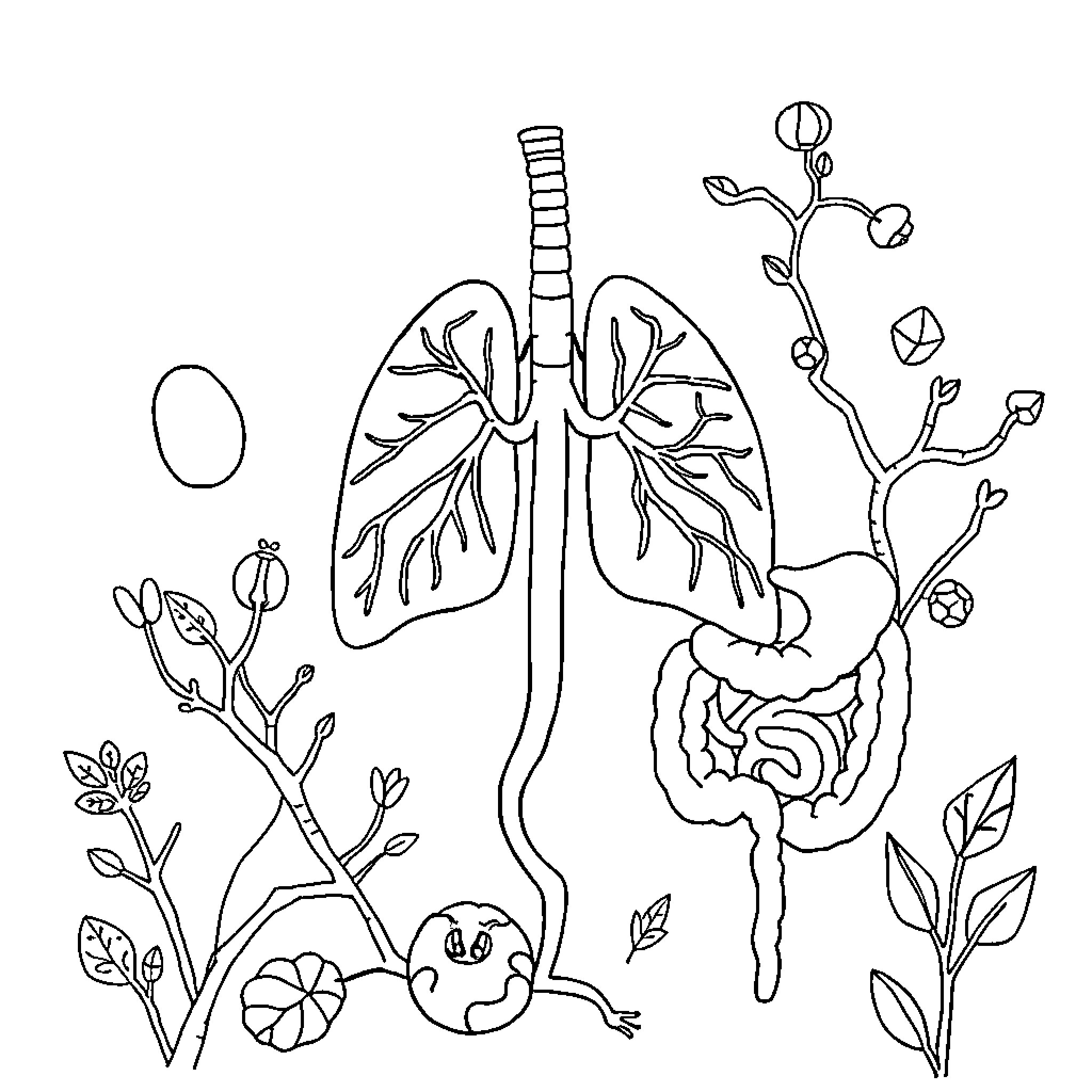 Best Cell Mitosis Coloring Pages (Free Printable PDF)
