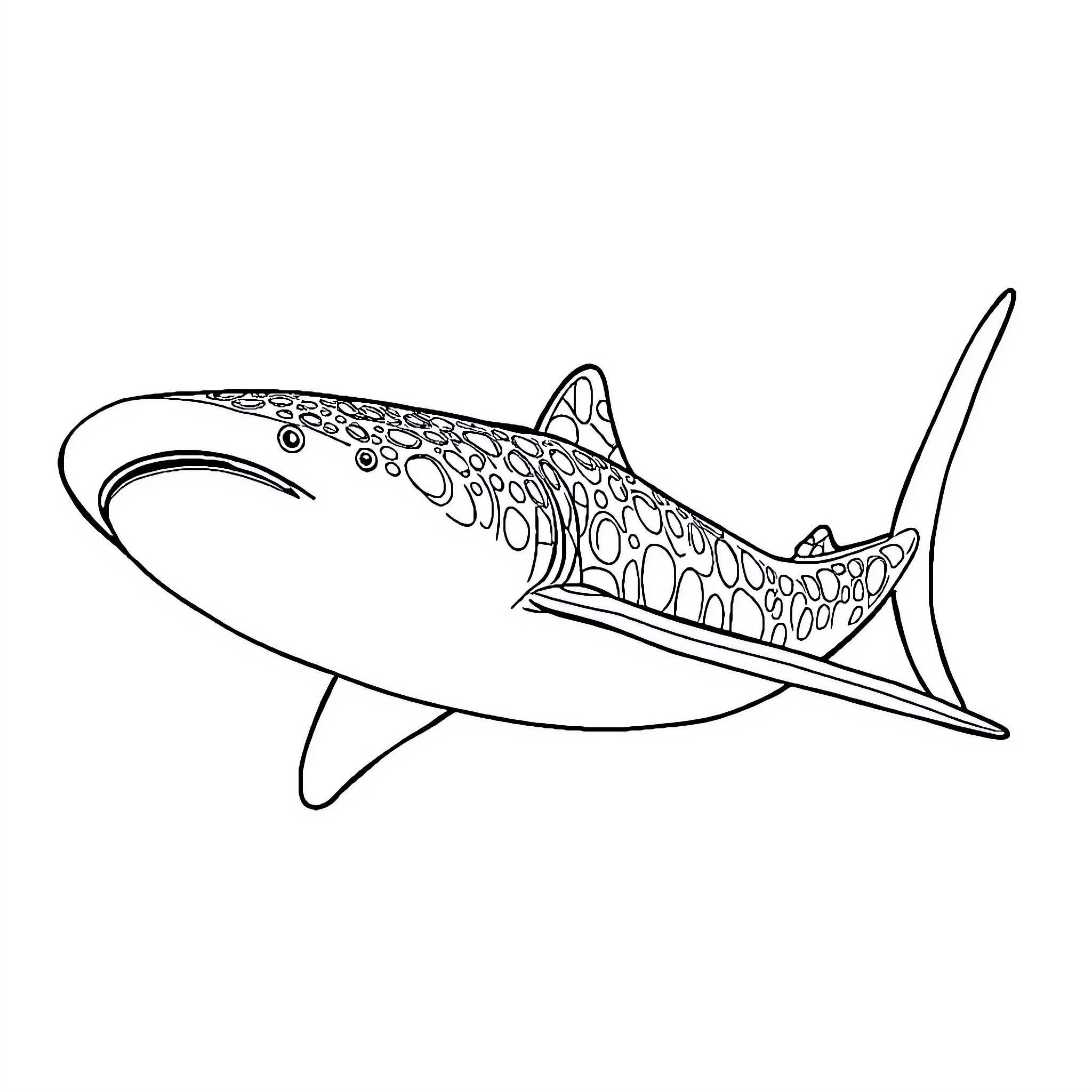 Best Whale Shark Coloring Pages (Free Printable PDF)