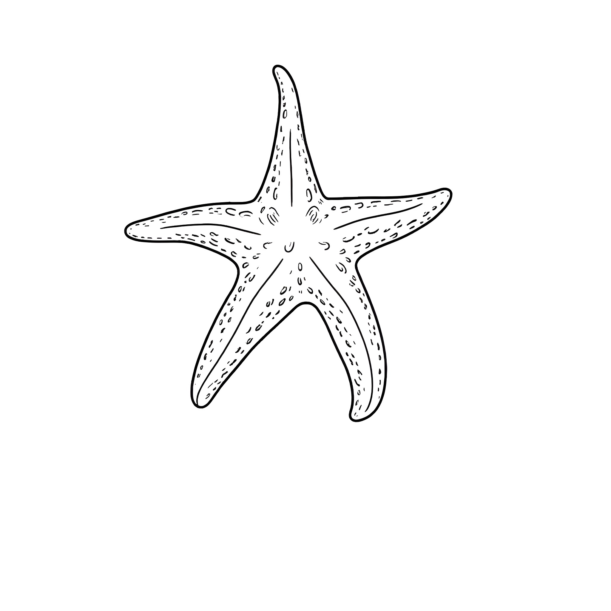 88 Best Starfish Coloring Pages (Free Printable PDFs)