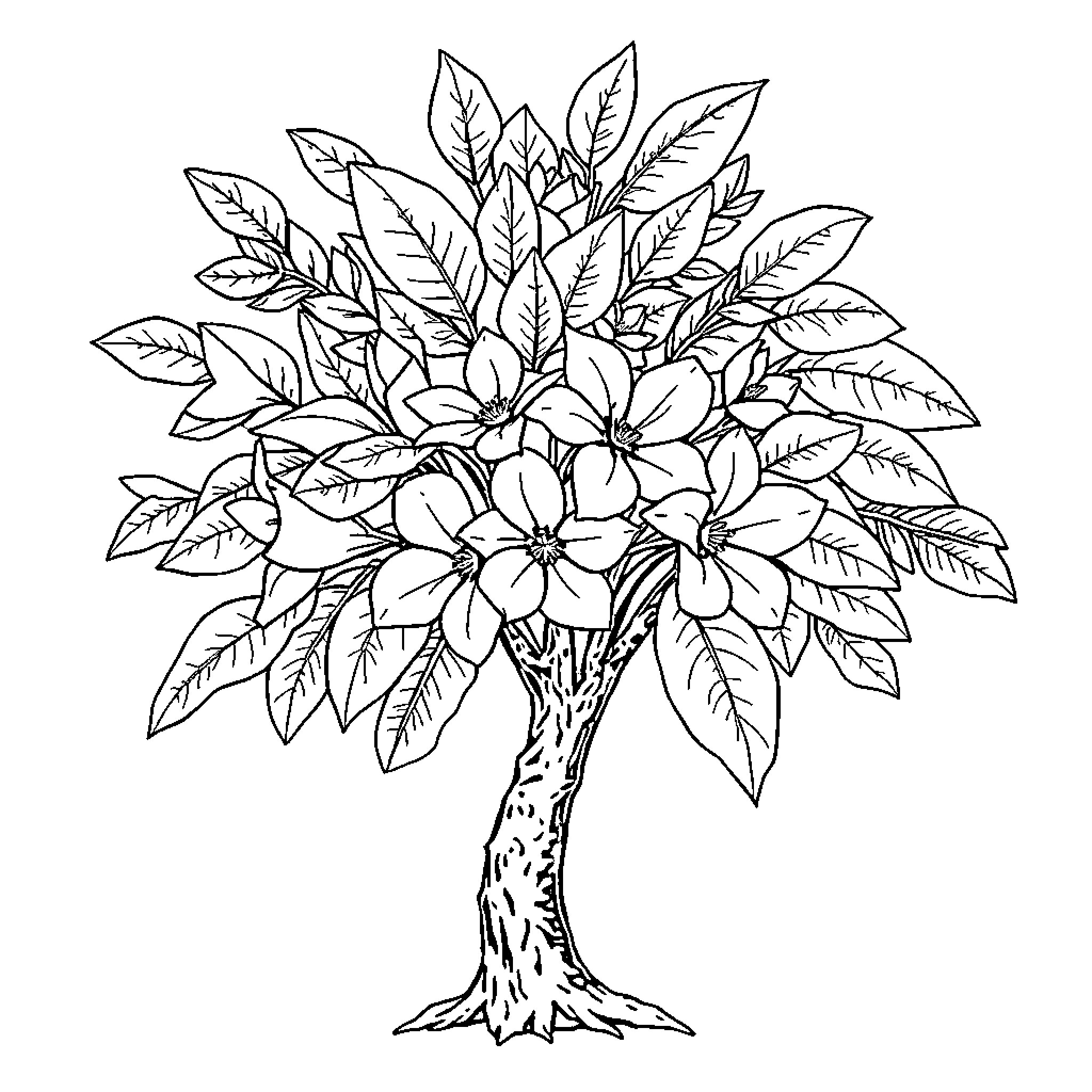 Best Charlie Kirk Coloring Pages (Free Printable PDF)