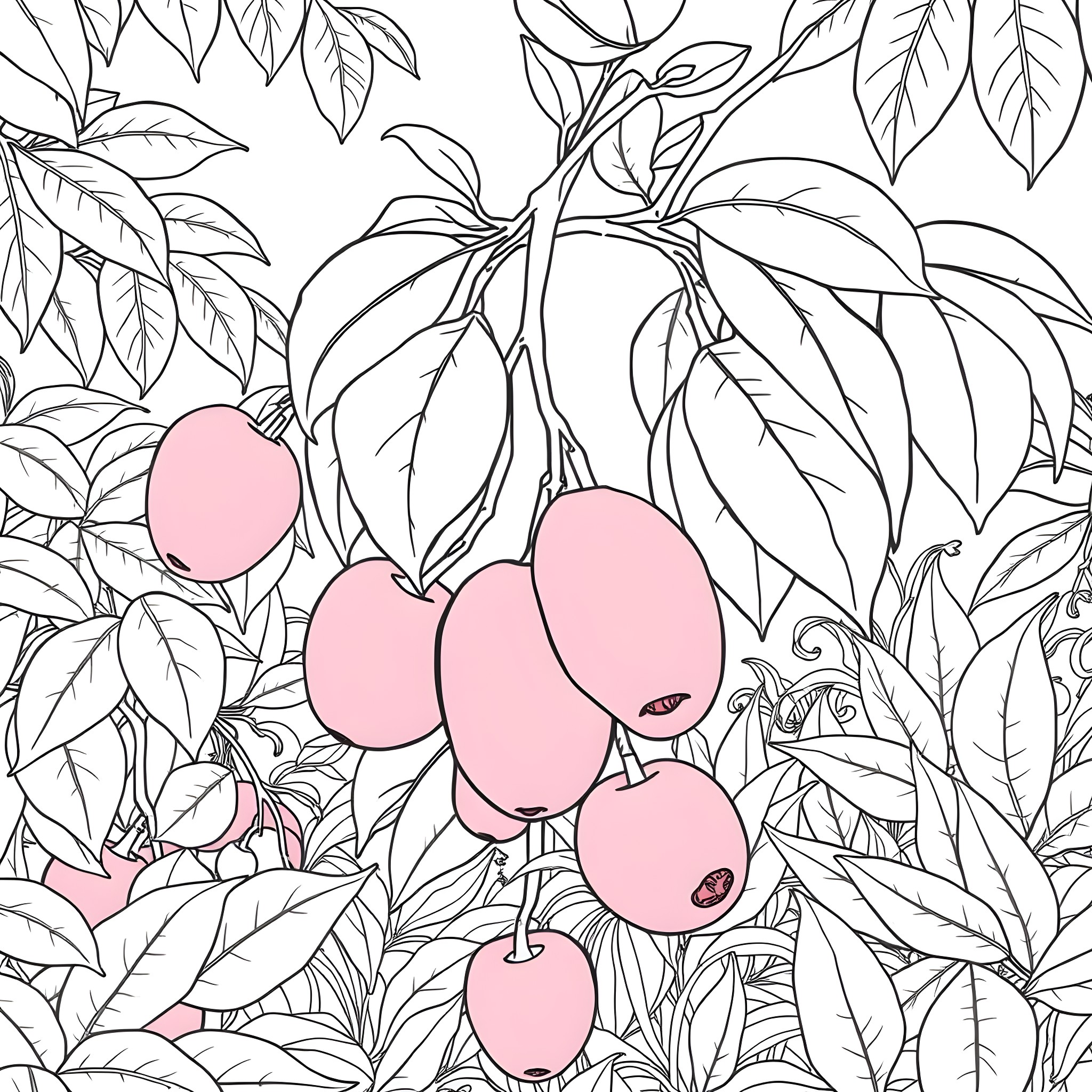 2 Best Açaí Coloring Pages (Free Printable PDFs)