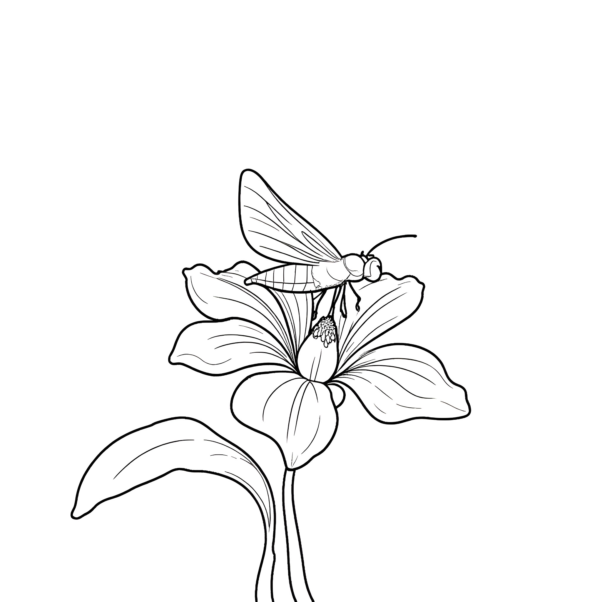 Best Firefly Coloring Pages (Free Printable PDF)