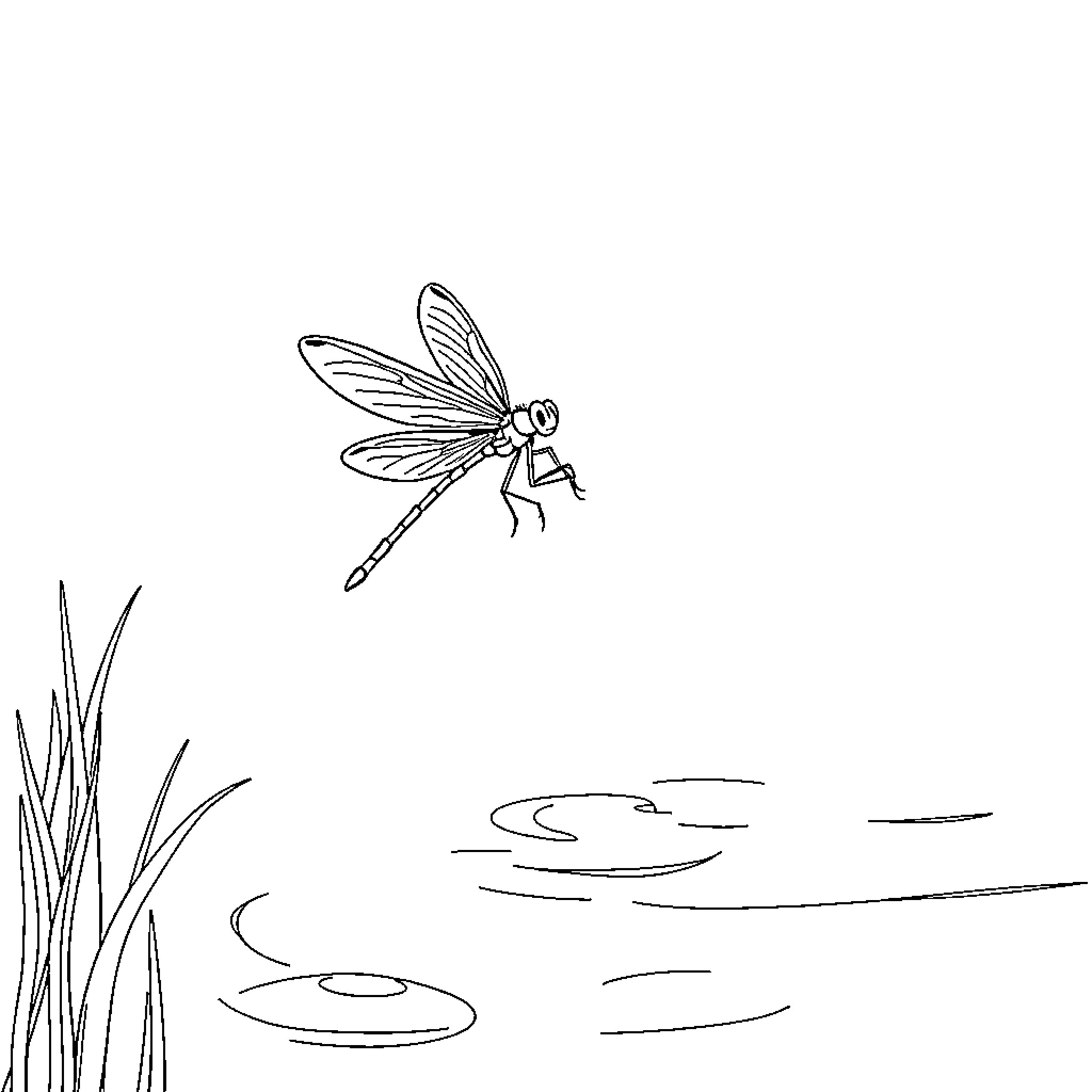 Best Havanese Puppy Coloring Pages (Free Printable PDF)