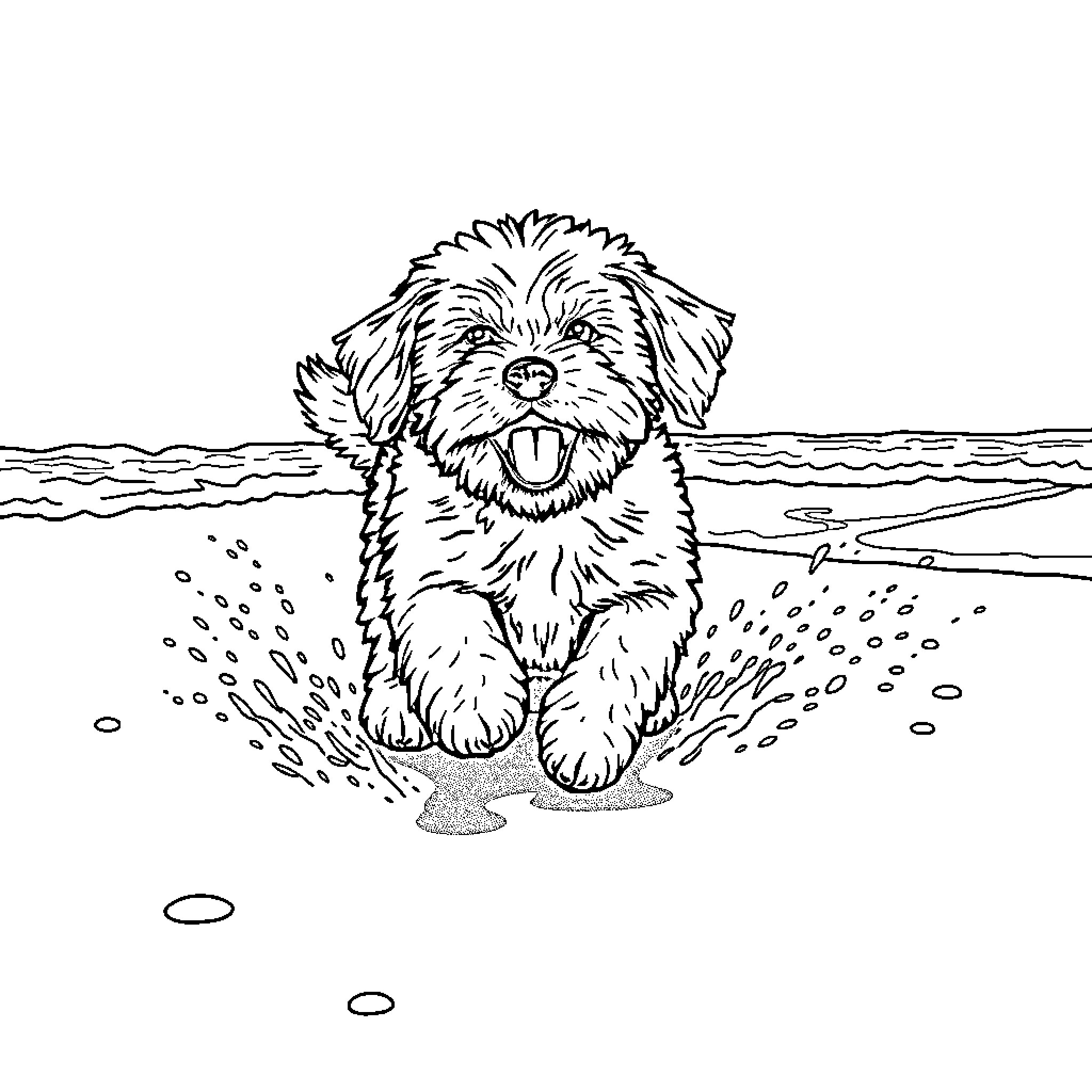 Best Cavapoo Coloring Pages (Free Printable PDF)