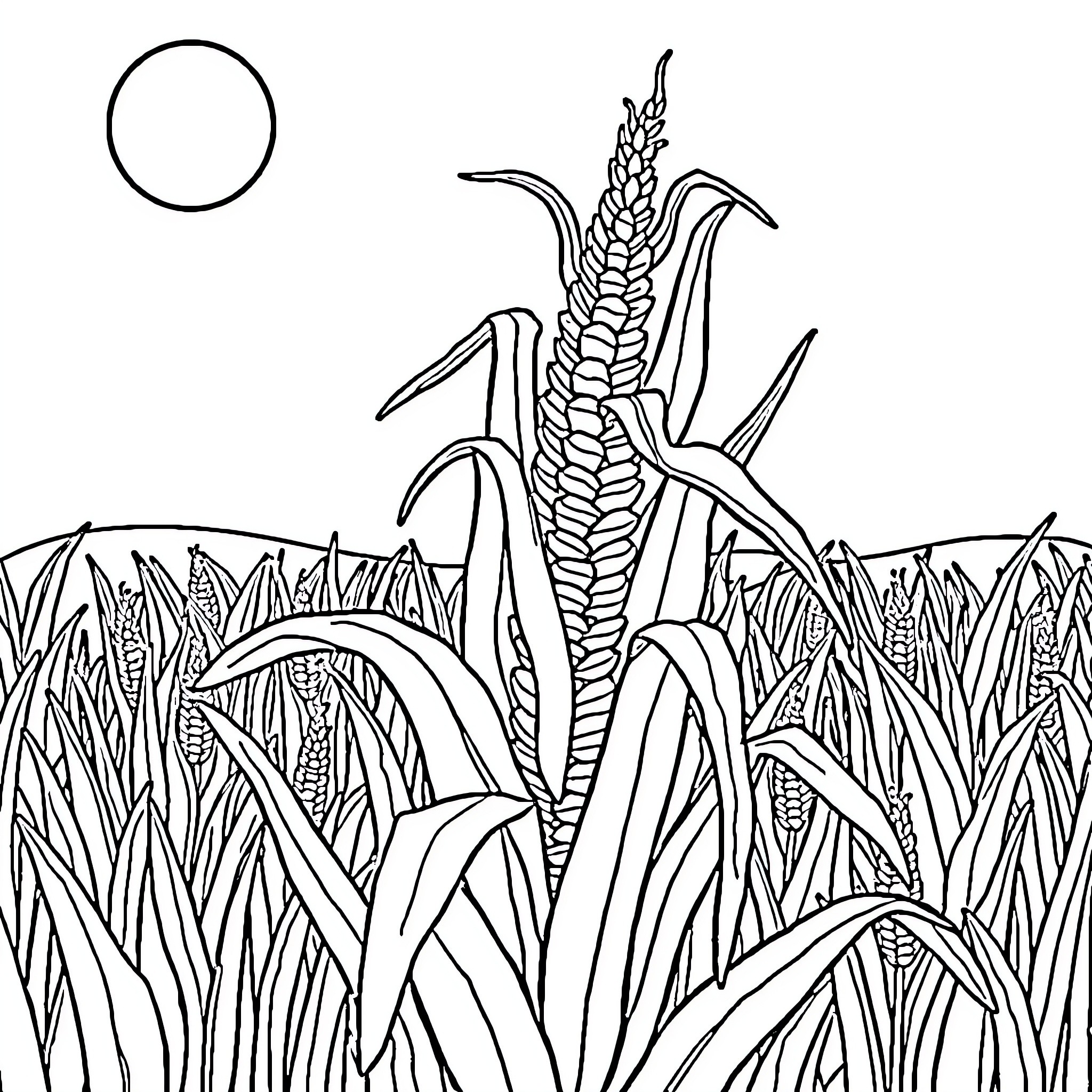 Best Laboboo Coloring Pages (Free Printable PDF)