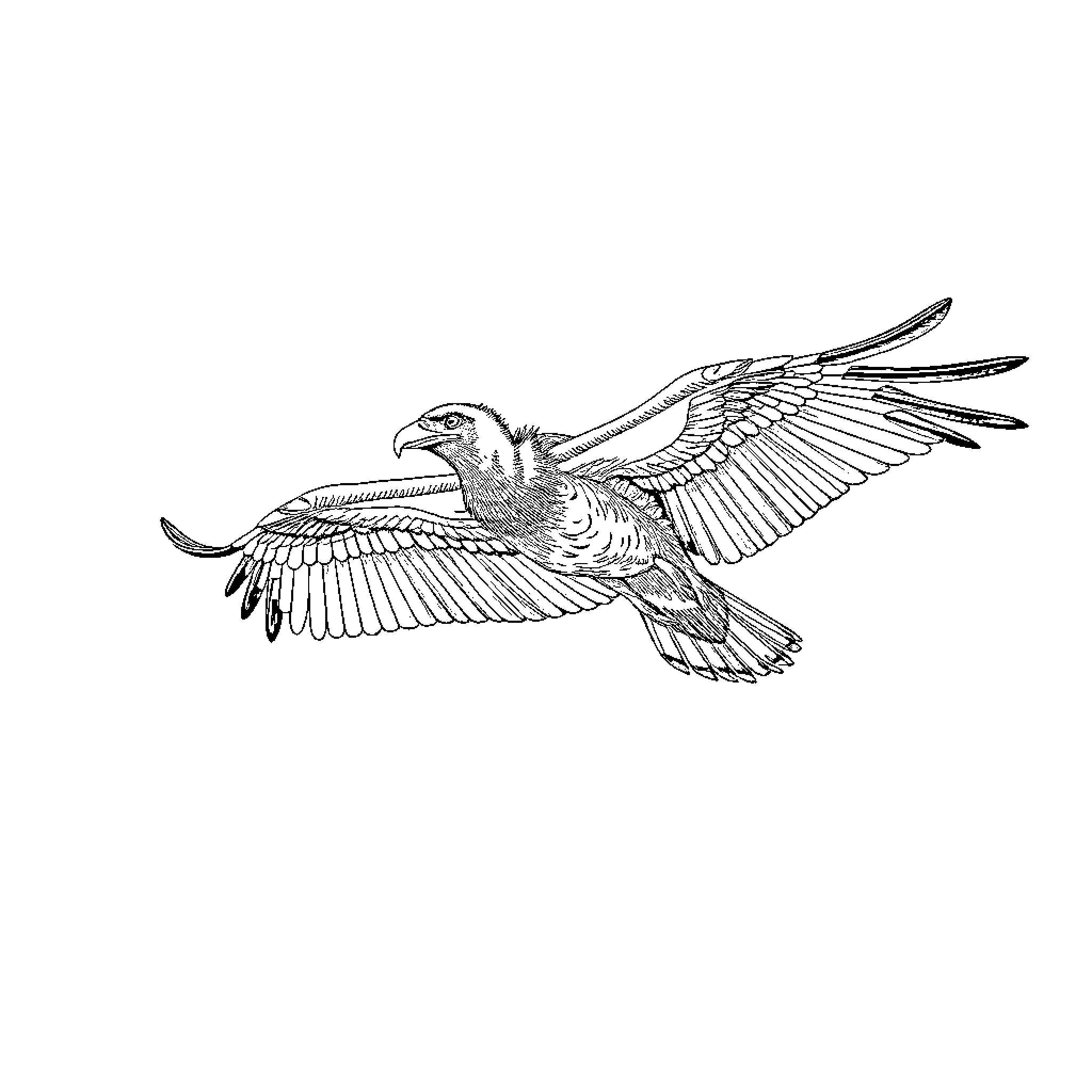 Best Phuong Mỹ Chi Coloring Pages (Free Printable PDF)