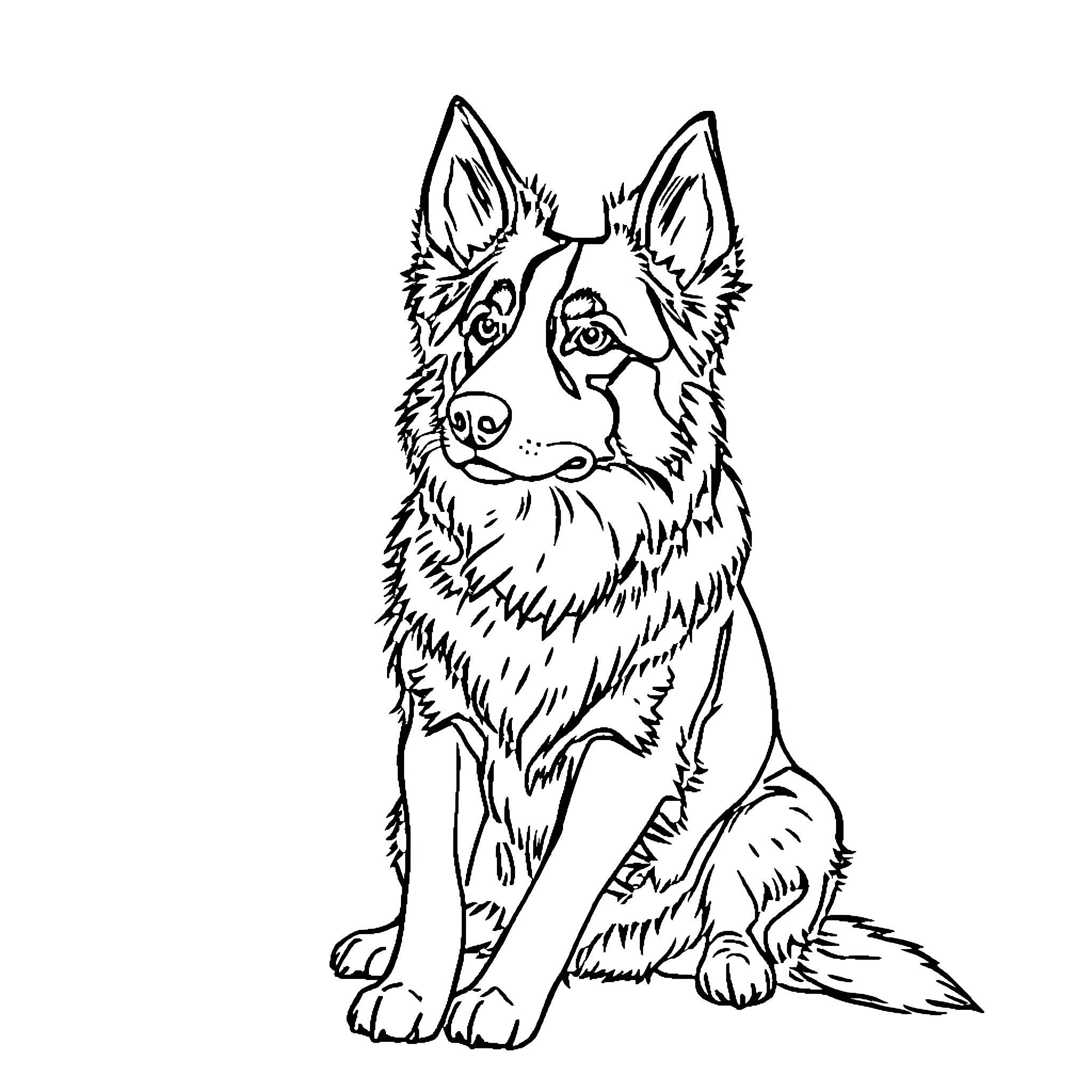 58 Best Border Collie Coloring Pages (Free Printable PDFs)