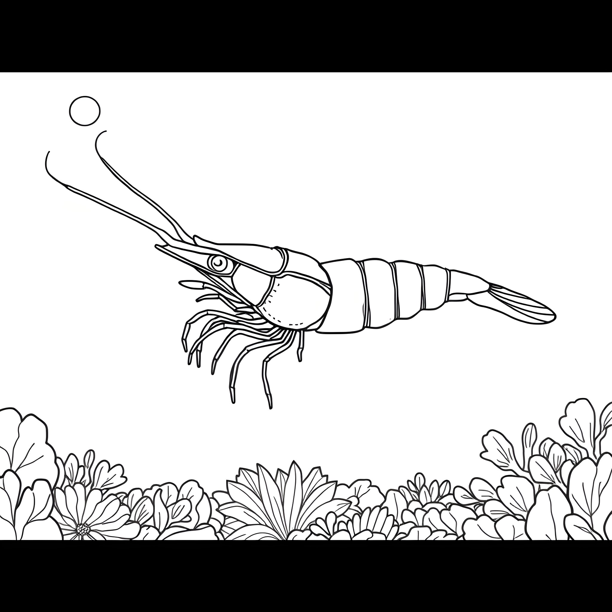 Best Shrimp Coloring Pages (Free Printable PDF)