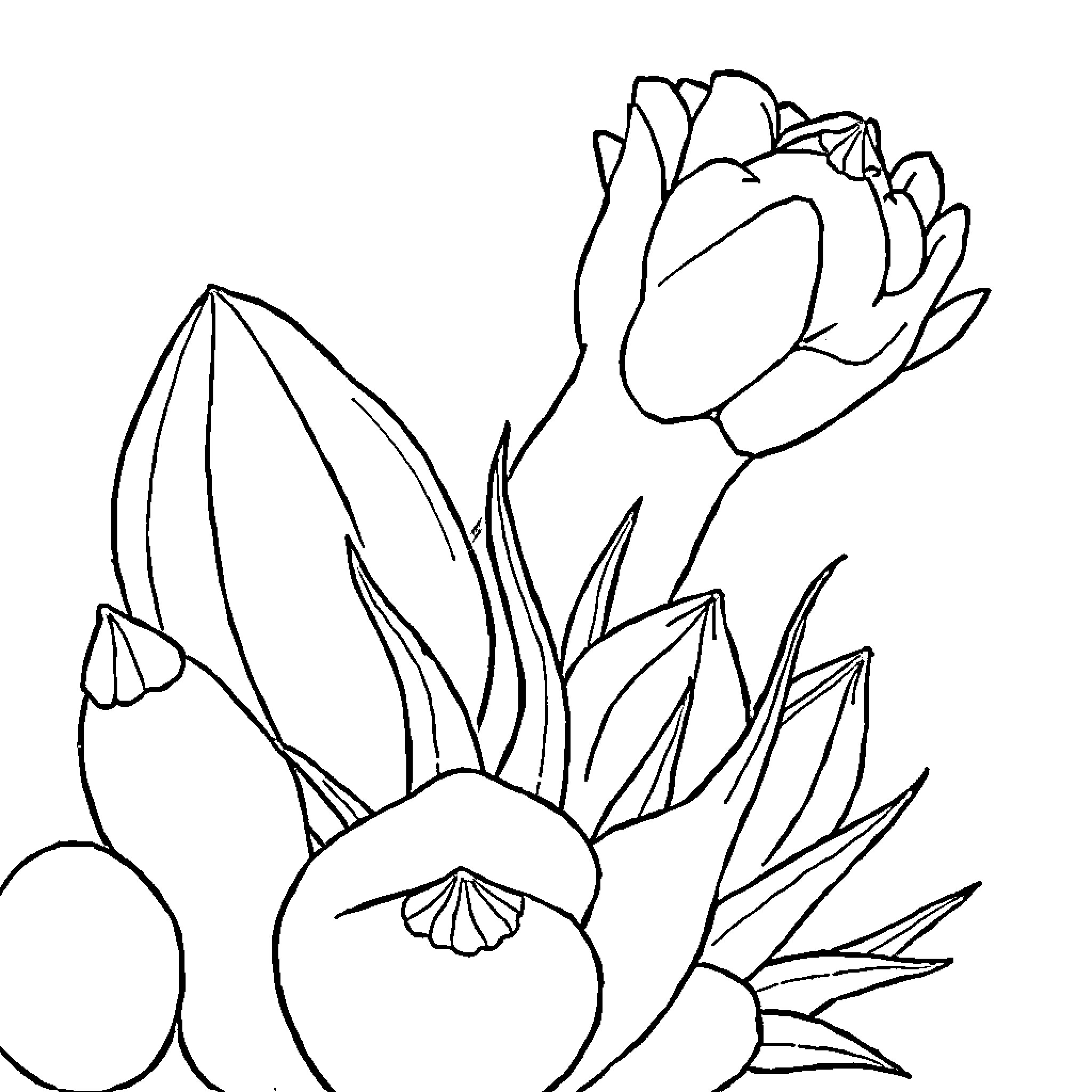 Best Square Coloring Pages (Free Printable PDF)