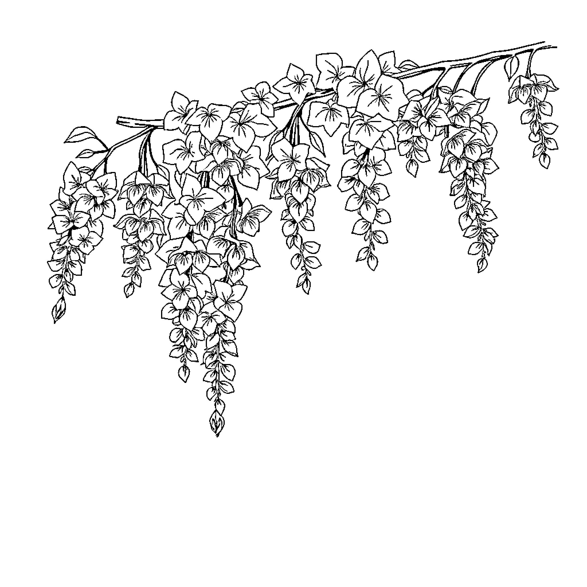 Best College Logo Coloring Pages (Free Printable PDF)