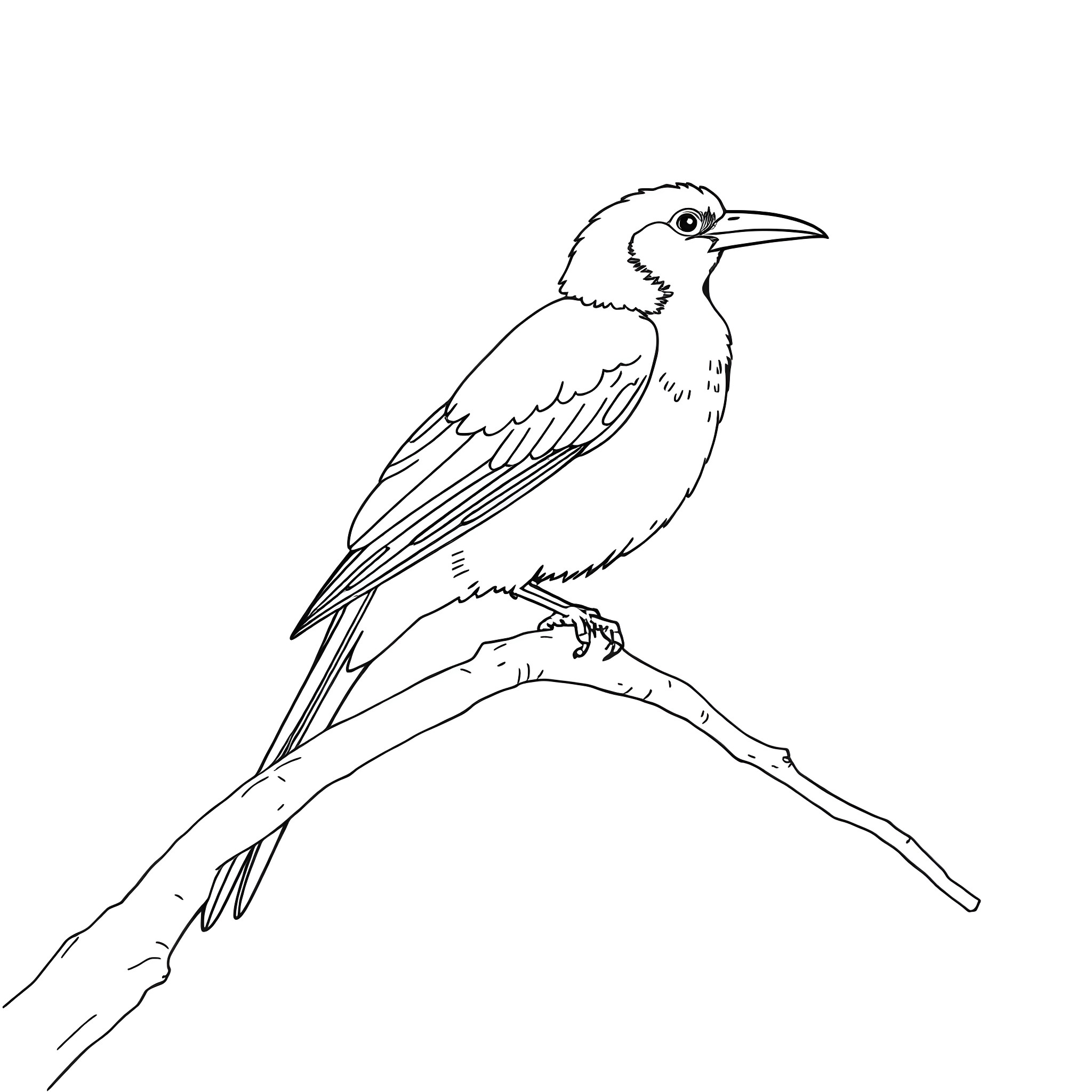 5 Best Eudocimus Ruber Coloring Pages (Free Printable PDFs)