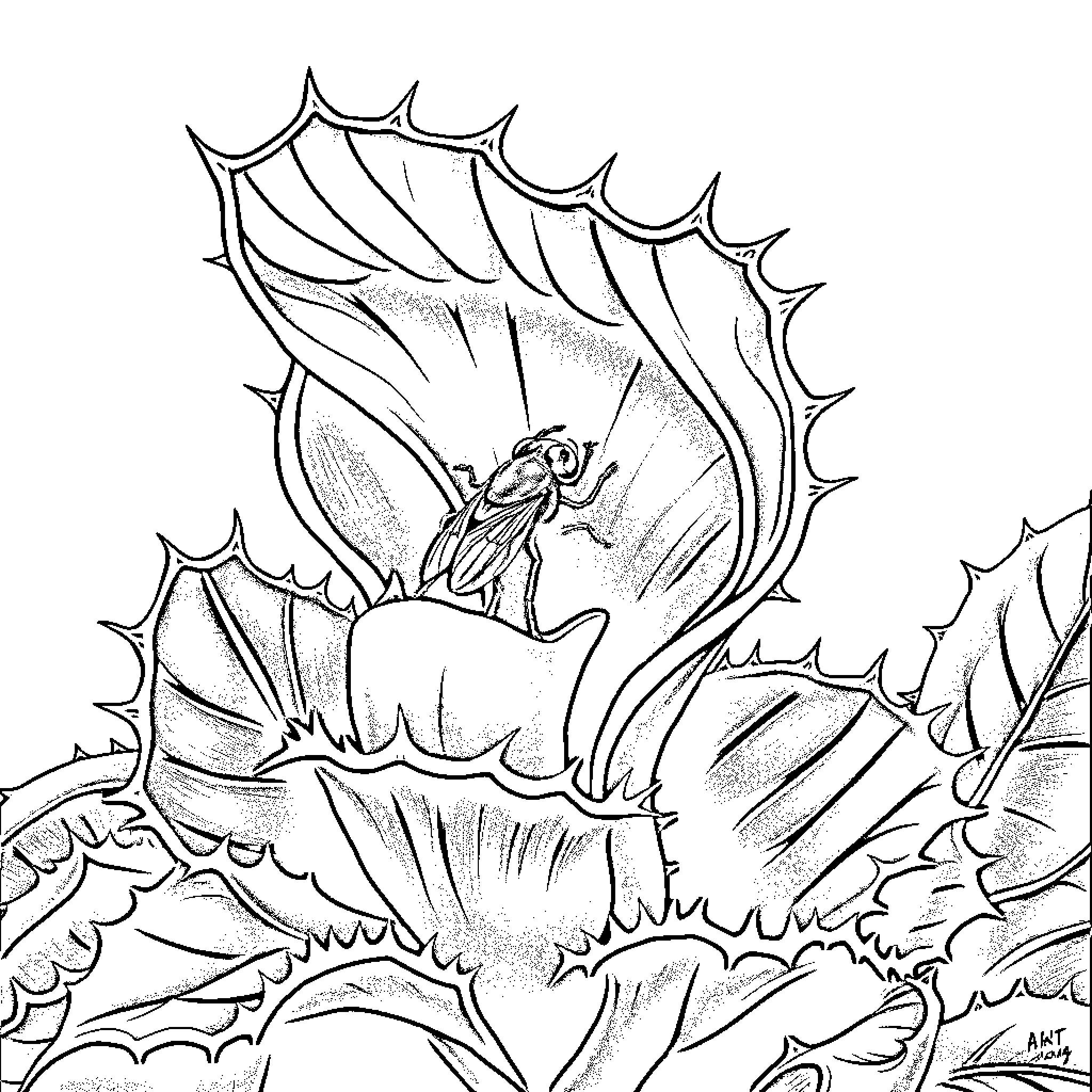 Best Venus Flytrap Coloring Pages (Free Printable PDF)