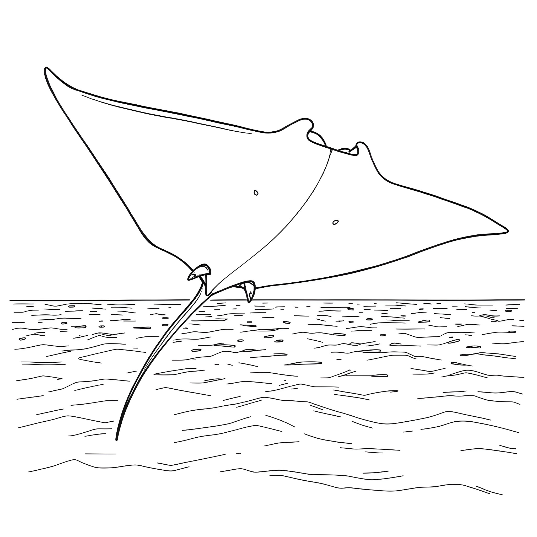 Best Manta Ray Coloring Pages (Free Printable PDF)