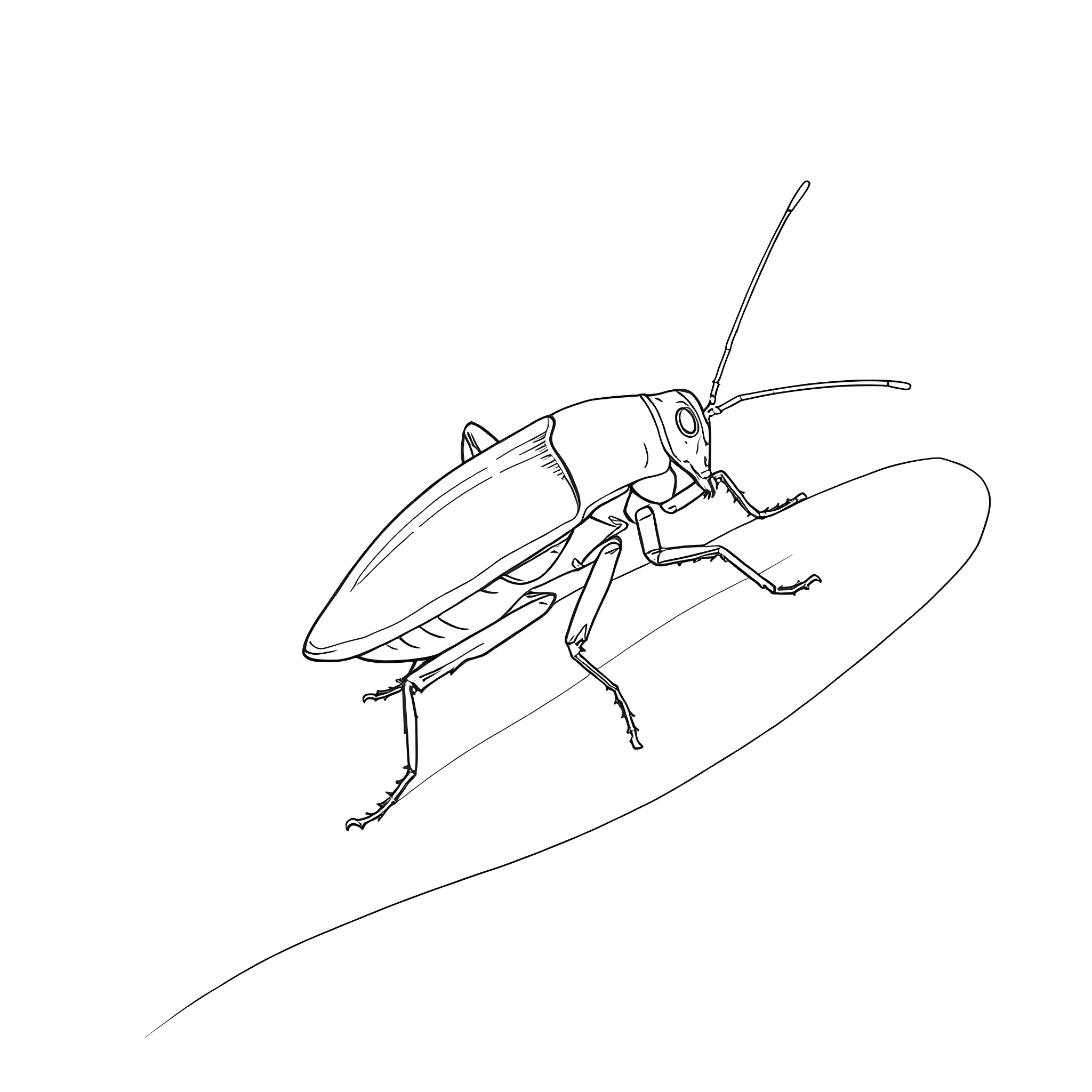 54 Best Cockroach Coloring Pages (Free Printable PDFs)