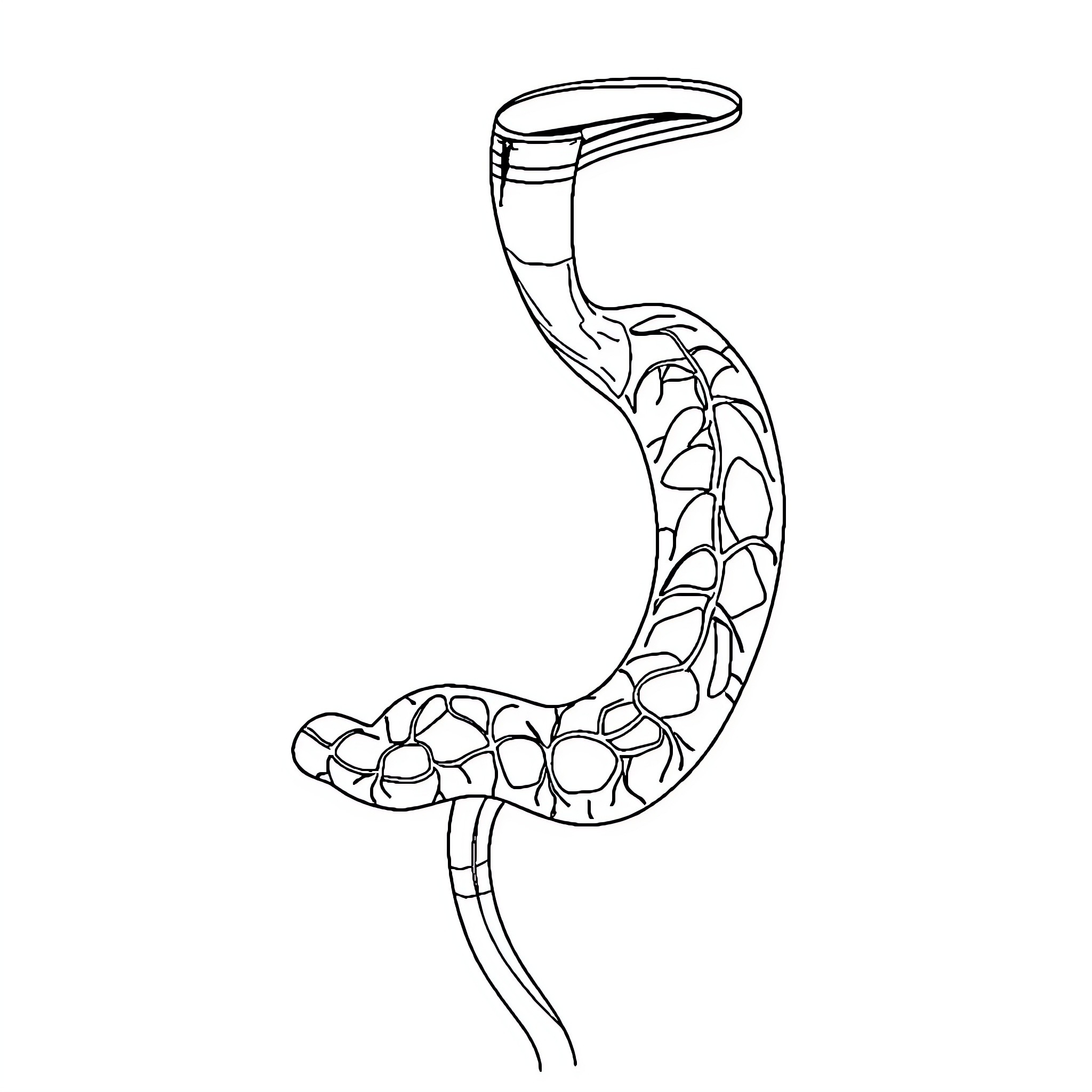 Best Gucci Coloring Pages (Free Printable PDF)