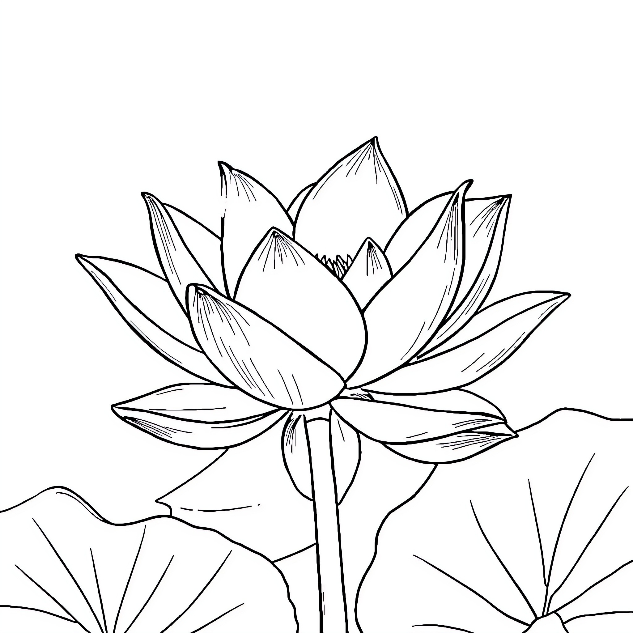 Best Lotus Coloring Pages (Free Printable PDF)