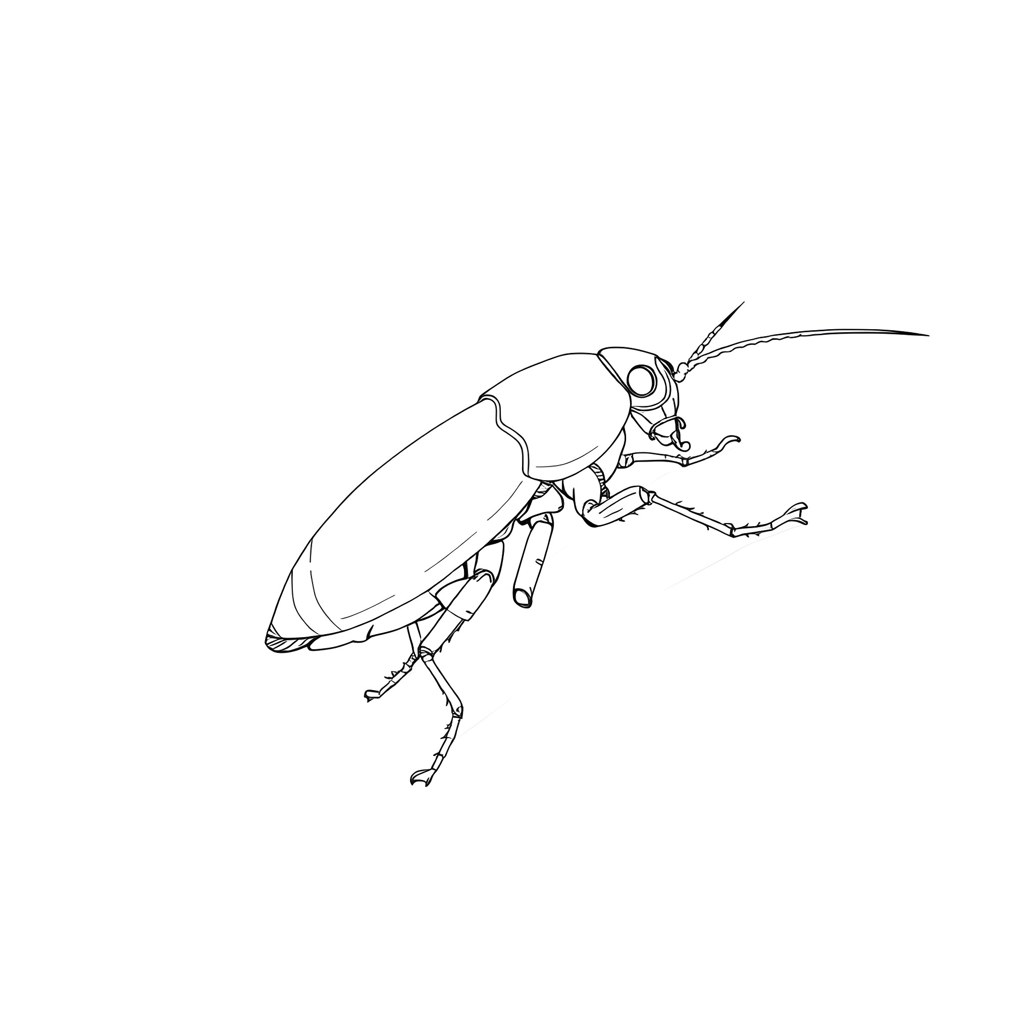 54 Best Cockroach Coloring Pages (Free Printable PDFs)