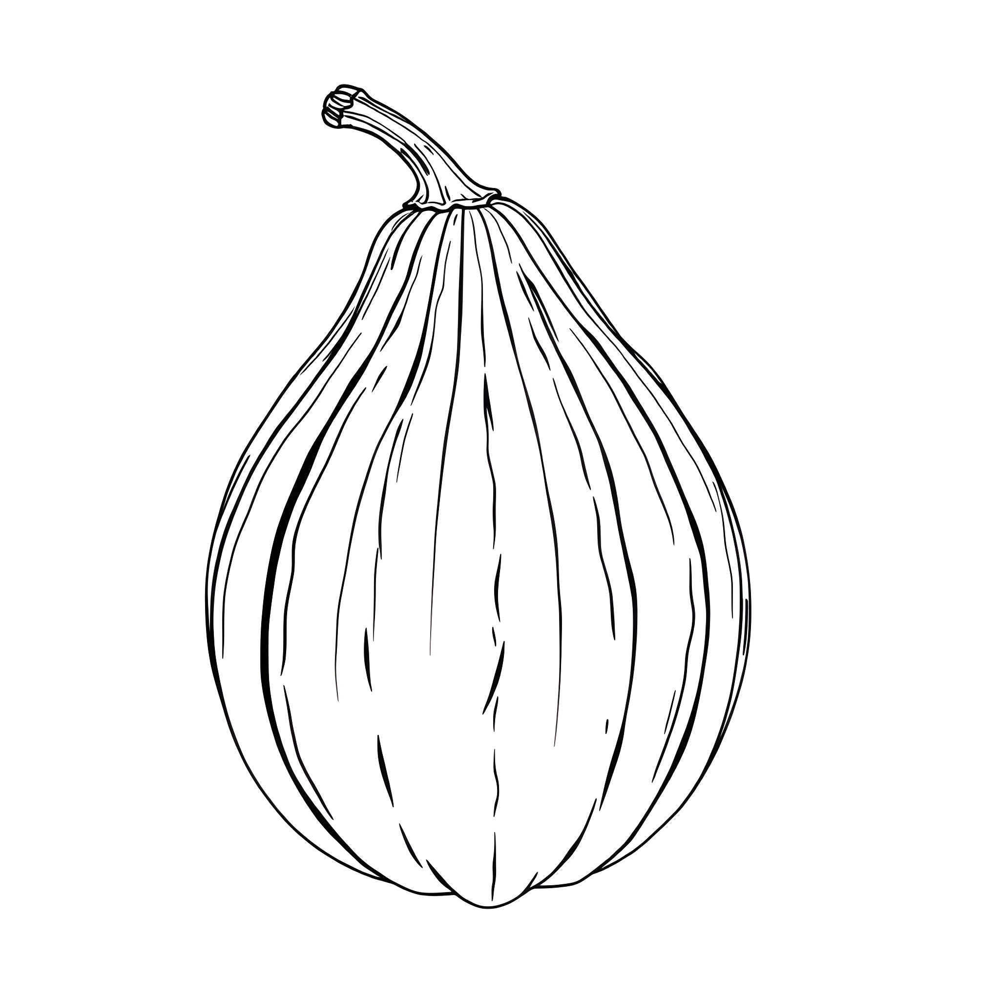 Best Gourd Coloring Pages (Free Printable PDF)