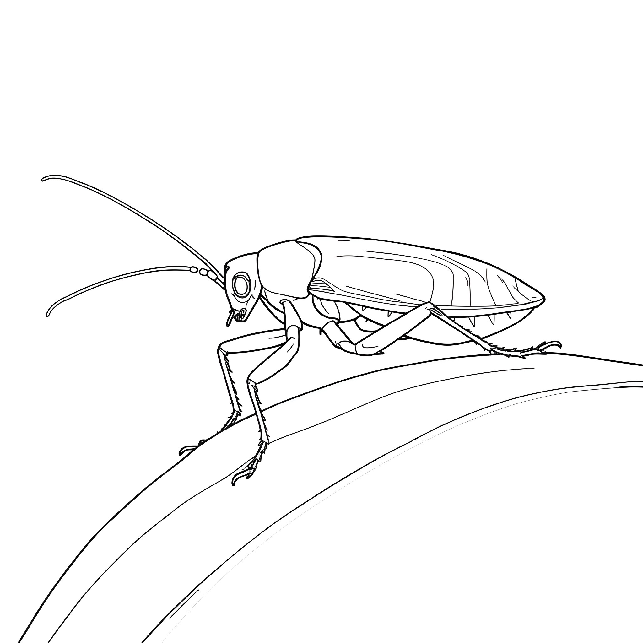 54 Best Cockroach Coloring Pages (Free Printable PDFs)