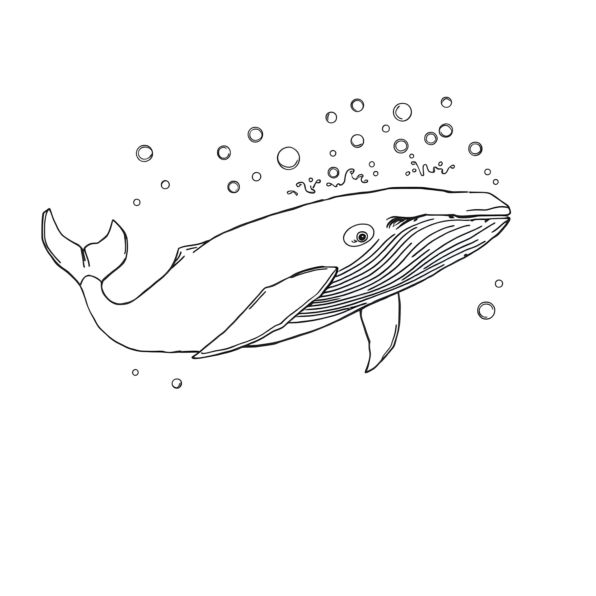 159 Best Whale Coloring Pages (Free Printable PDFs)