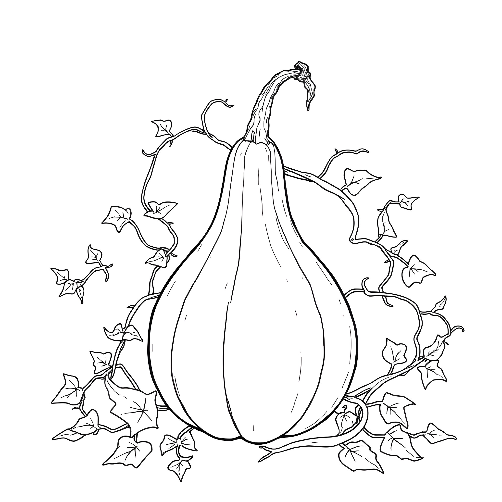 Best Gourd Coloring Pages (Free Printable PDF)
