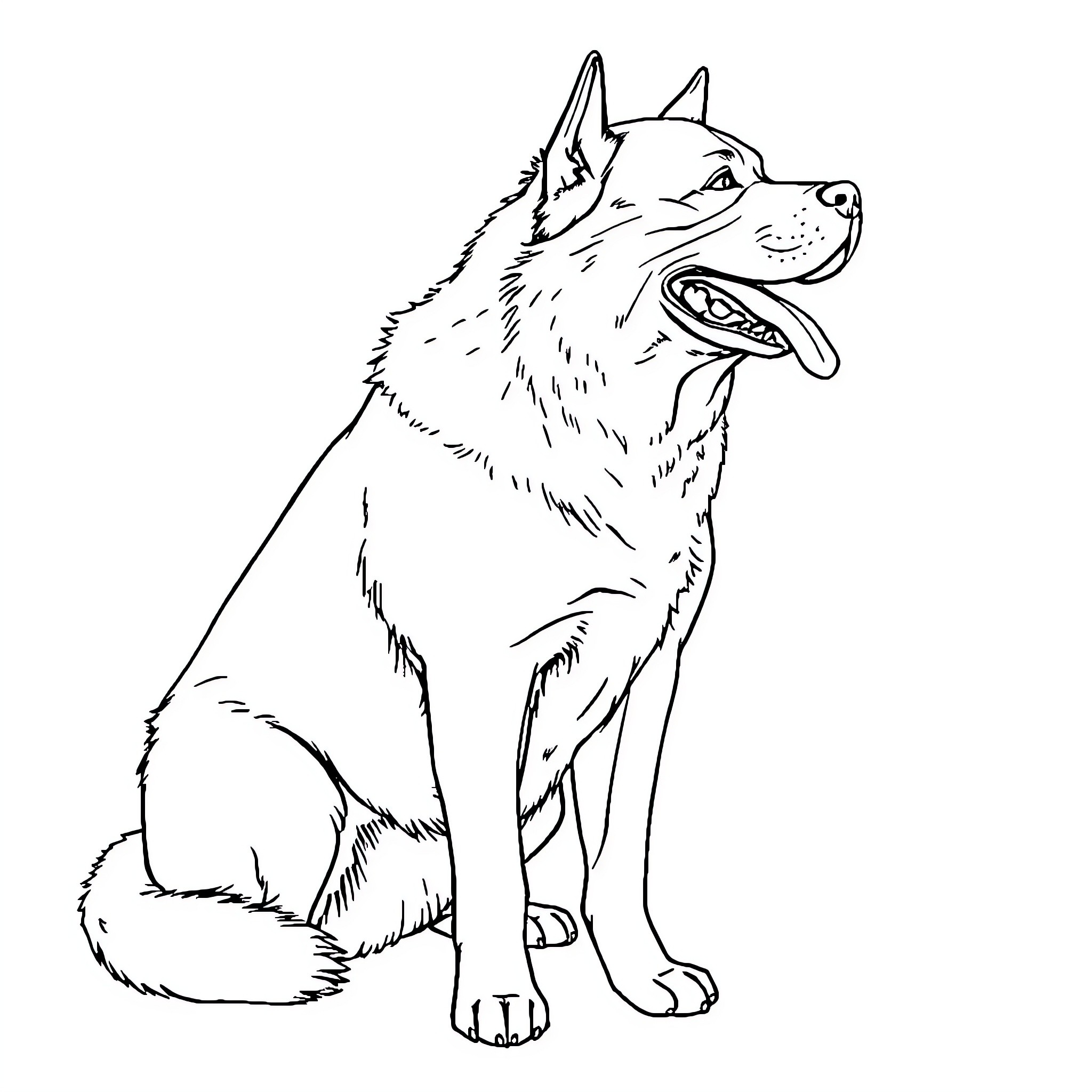 Best Liberal Coloring Pages (Free Printable PDF)