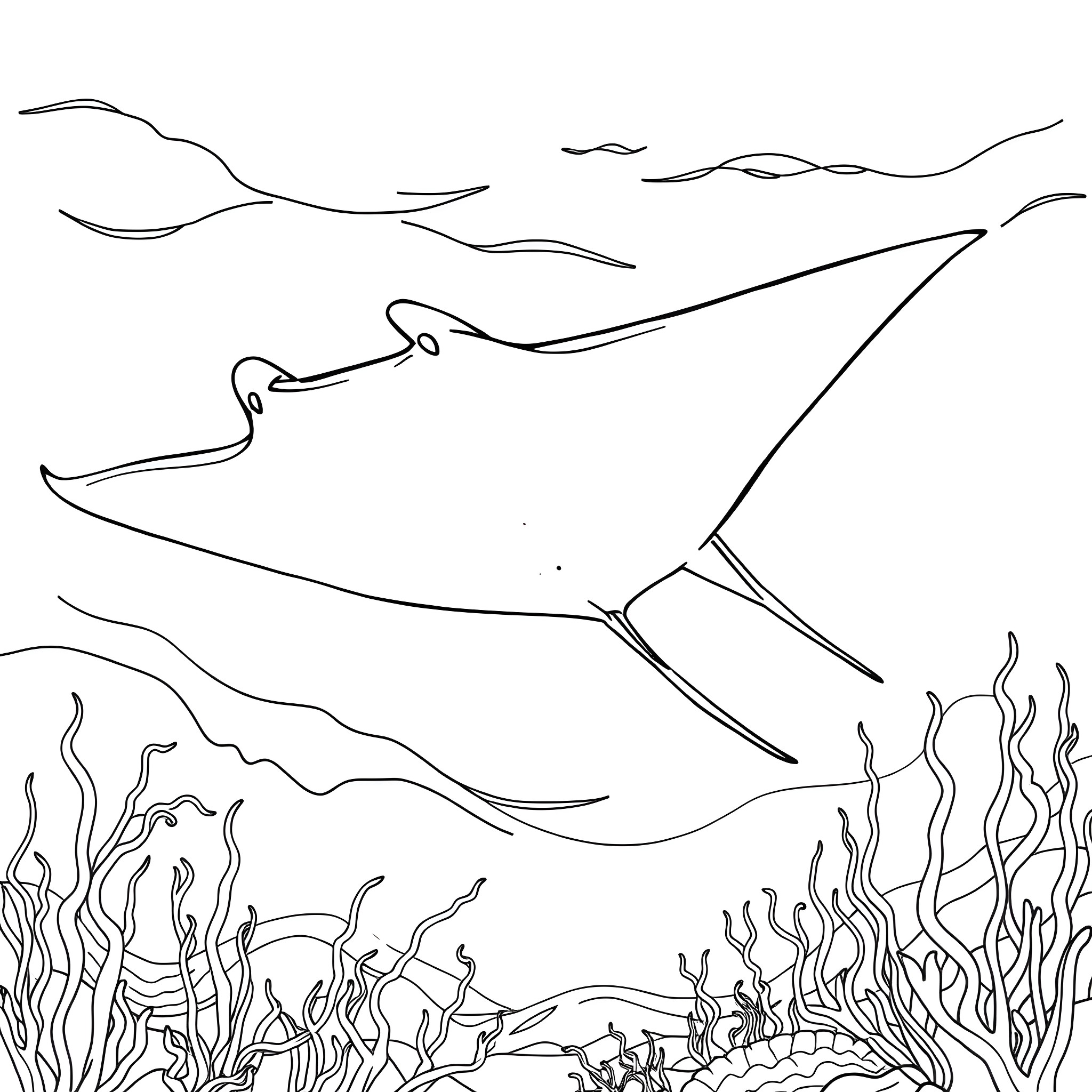 Best Manta Ray Coloring Pages (Free Printable PDF)