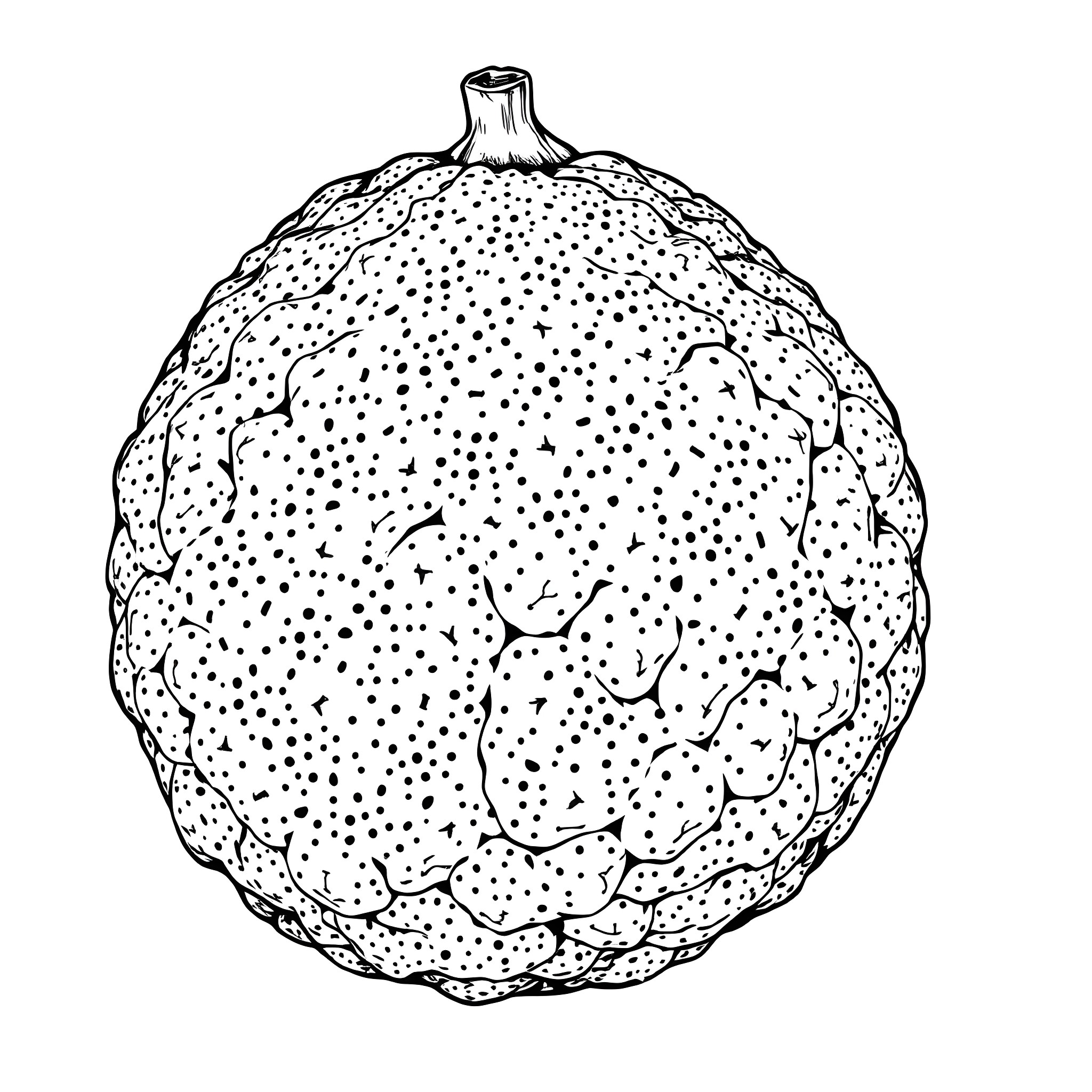 11 Best Jackfruit Coloring Pages (Free Printable PDFs)