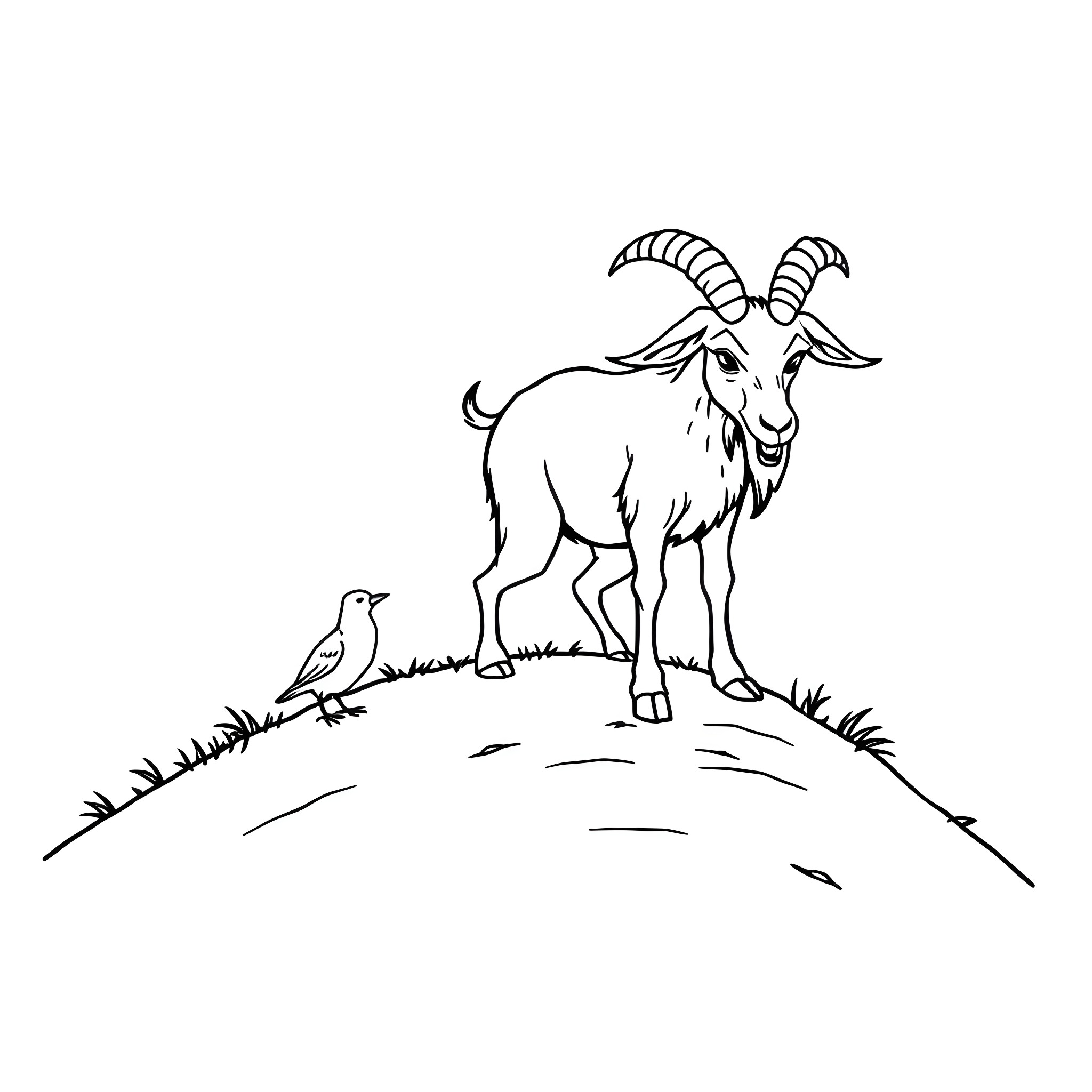 2 Best Kinkajou Coloring Pages (Free Printable PDFs)