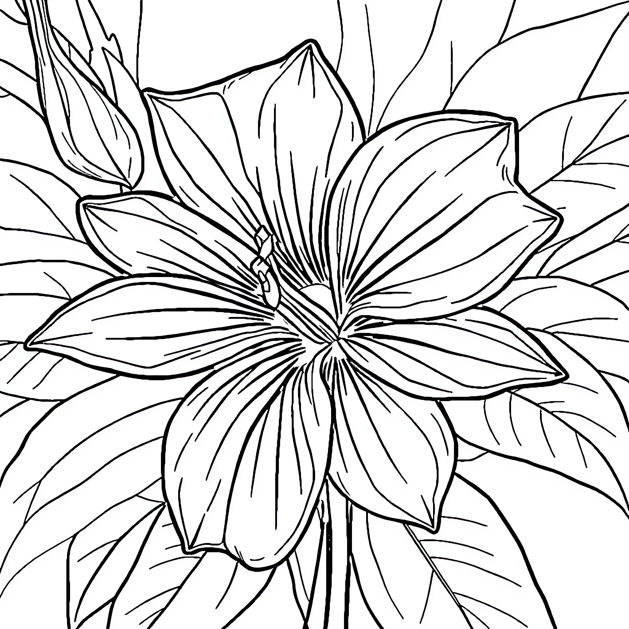 Best Fleur Coloring Pages (Free Printable PDF)
