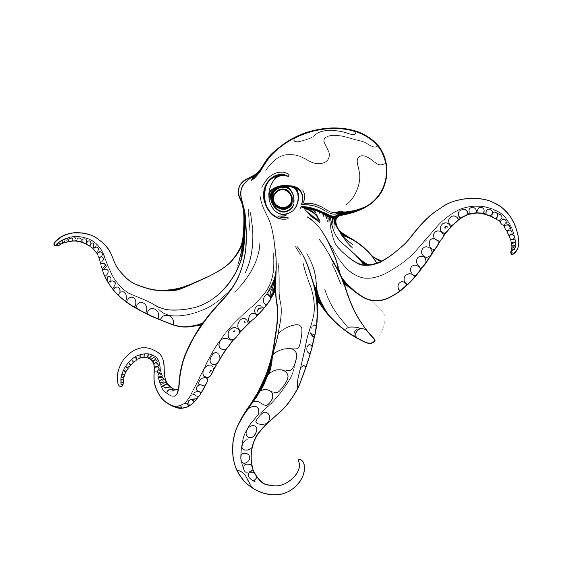 6 Best Flapjack Octopus Coloring Pages (Free Printable PDFs)
