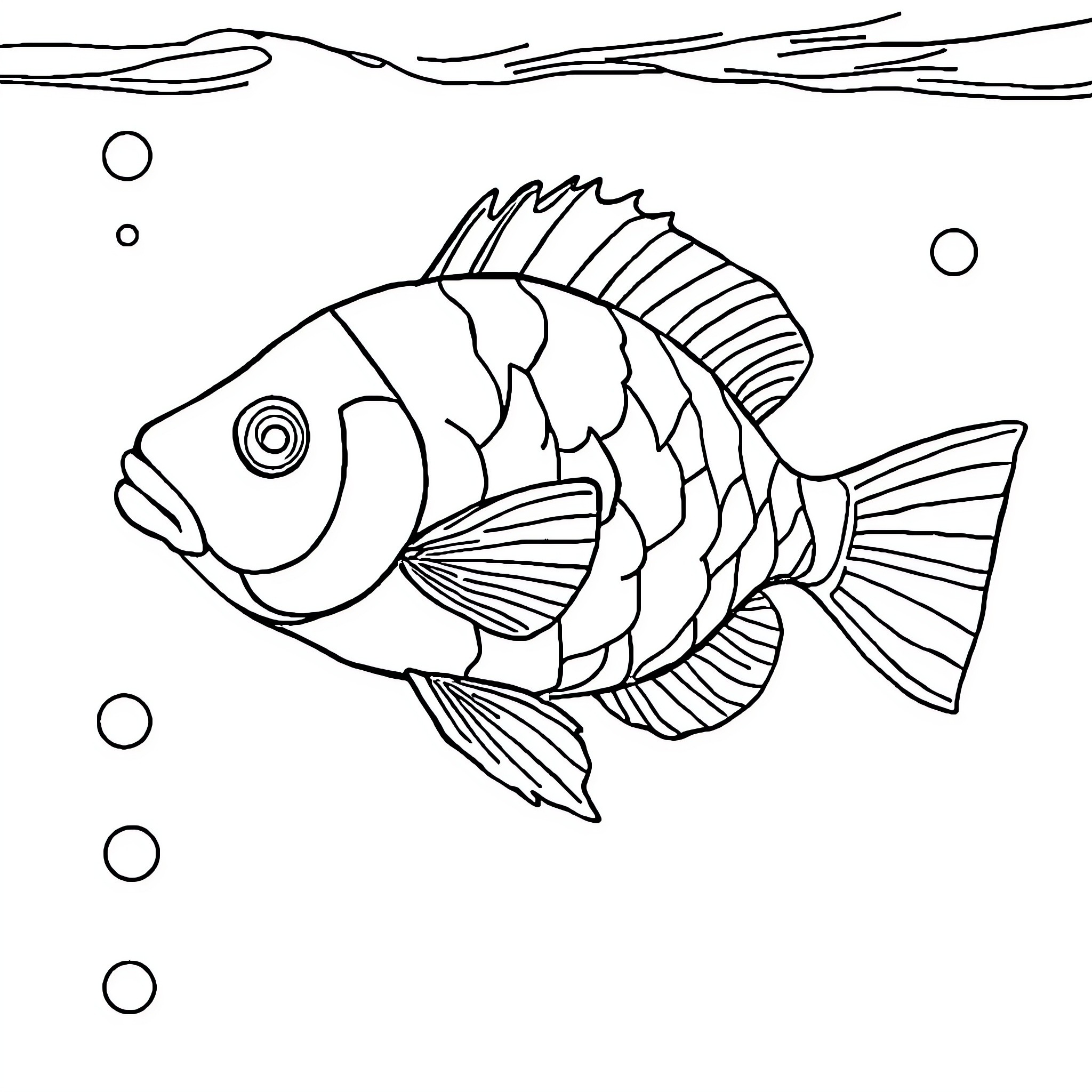 Best Fish Coloring Pages (Free Printable PDF)