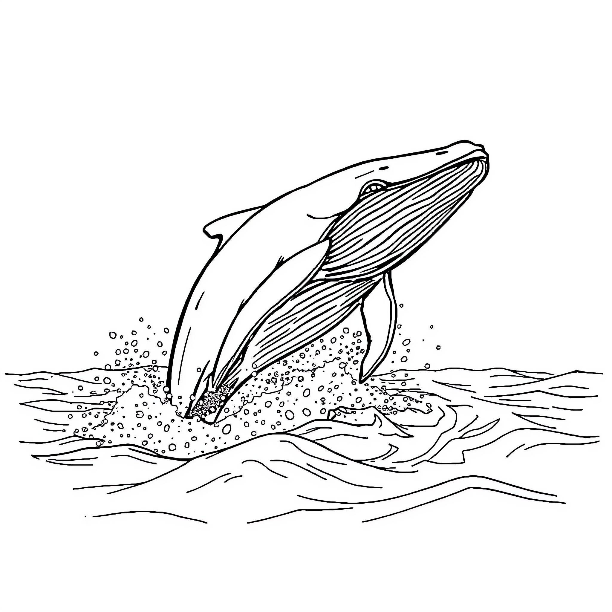 159 Best Whale Coloring Pages (Free Printable PDFs)