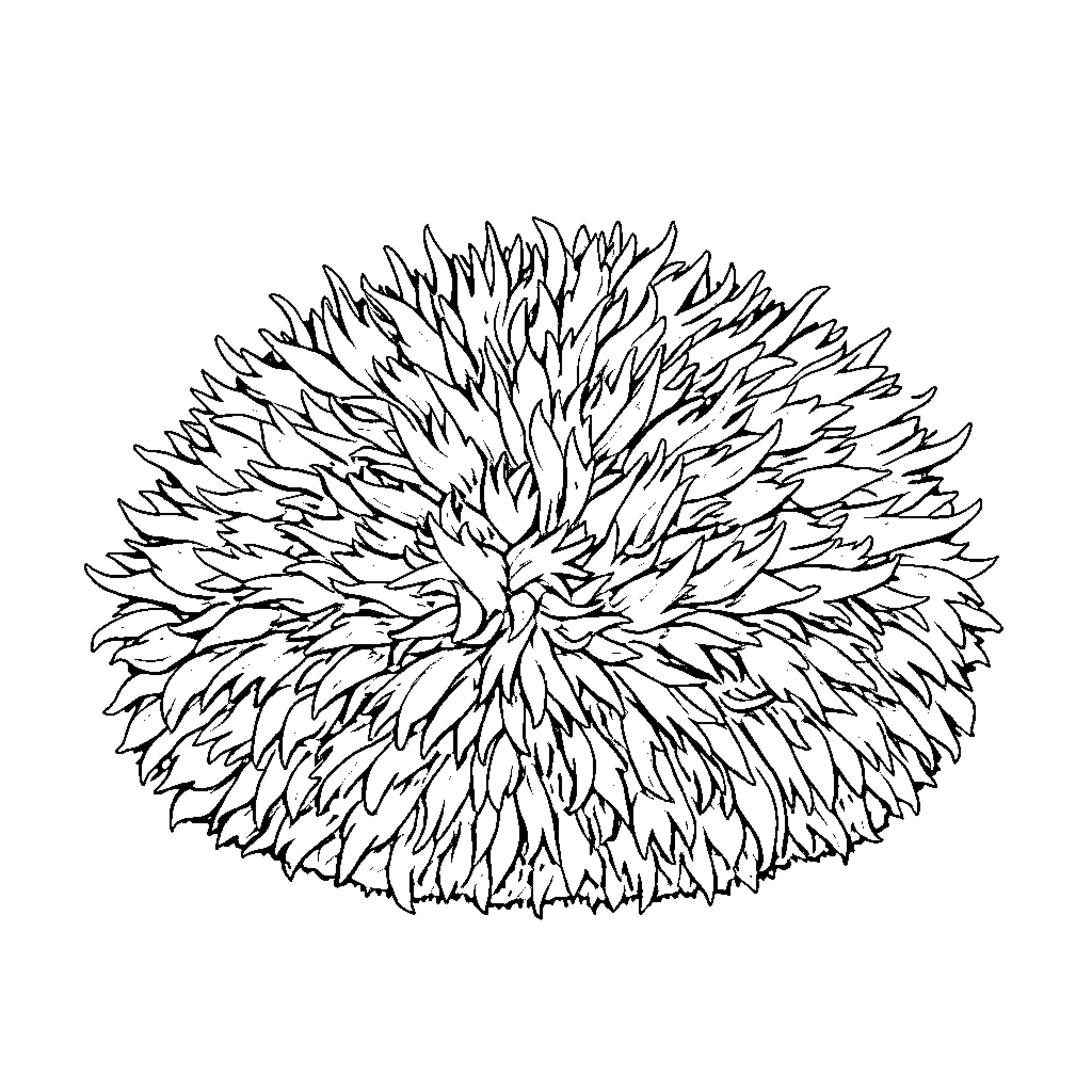 Best Art Element Coloring Pages (Free Printable PDF)