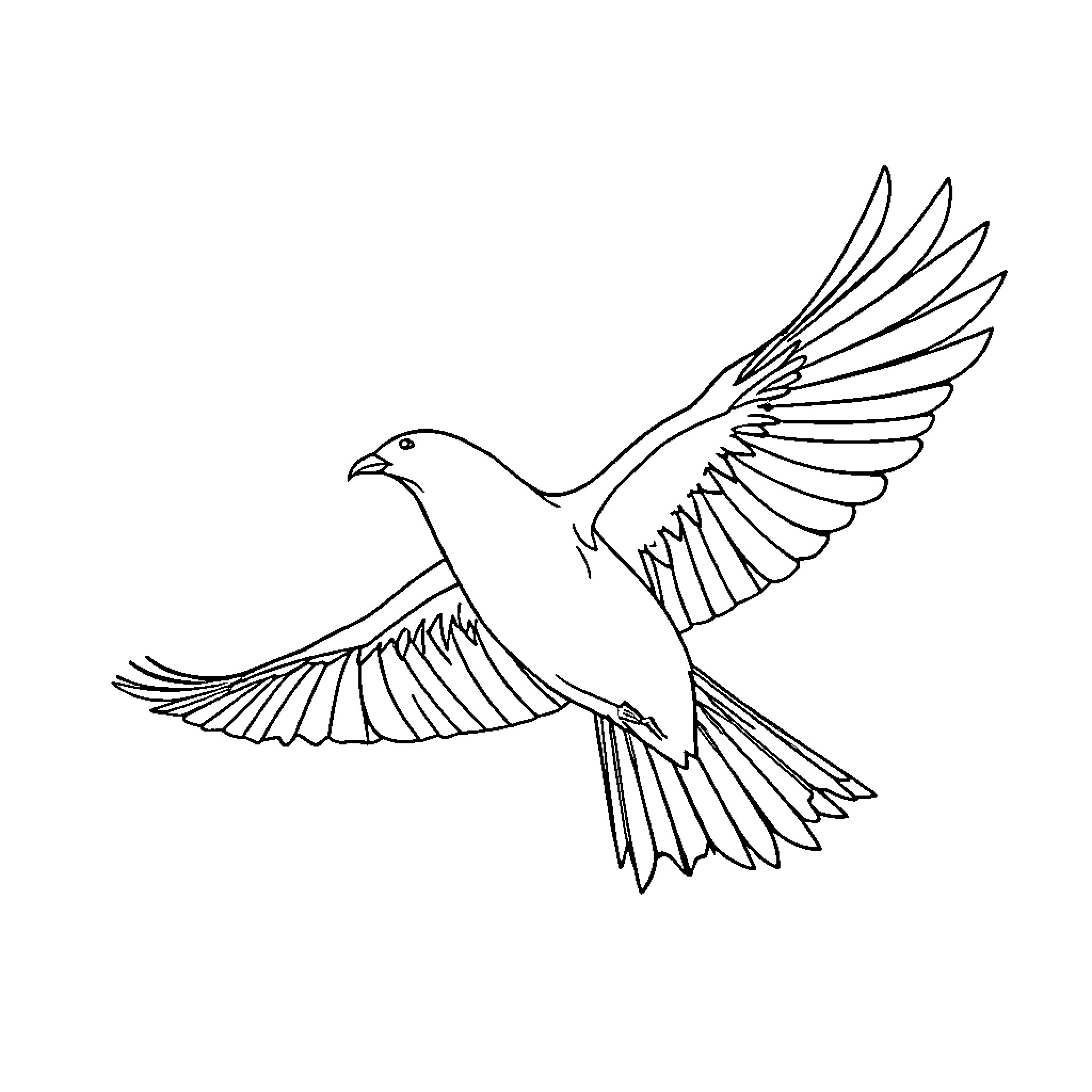 Best Bird Coloring Pages (Free Printable PDF)