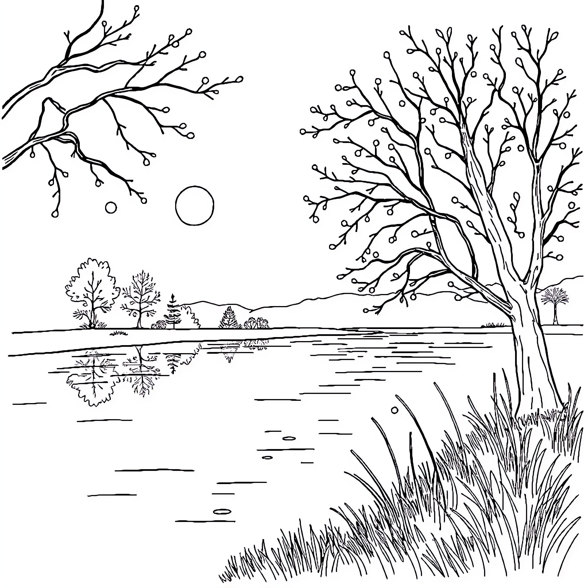 Best Anthony Edwards Coloring Pages (Free Printable PDF)