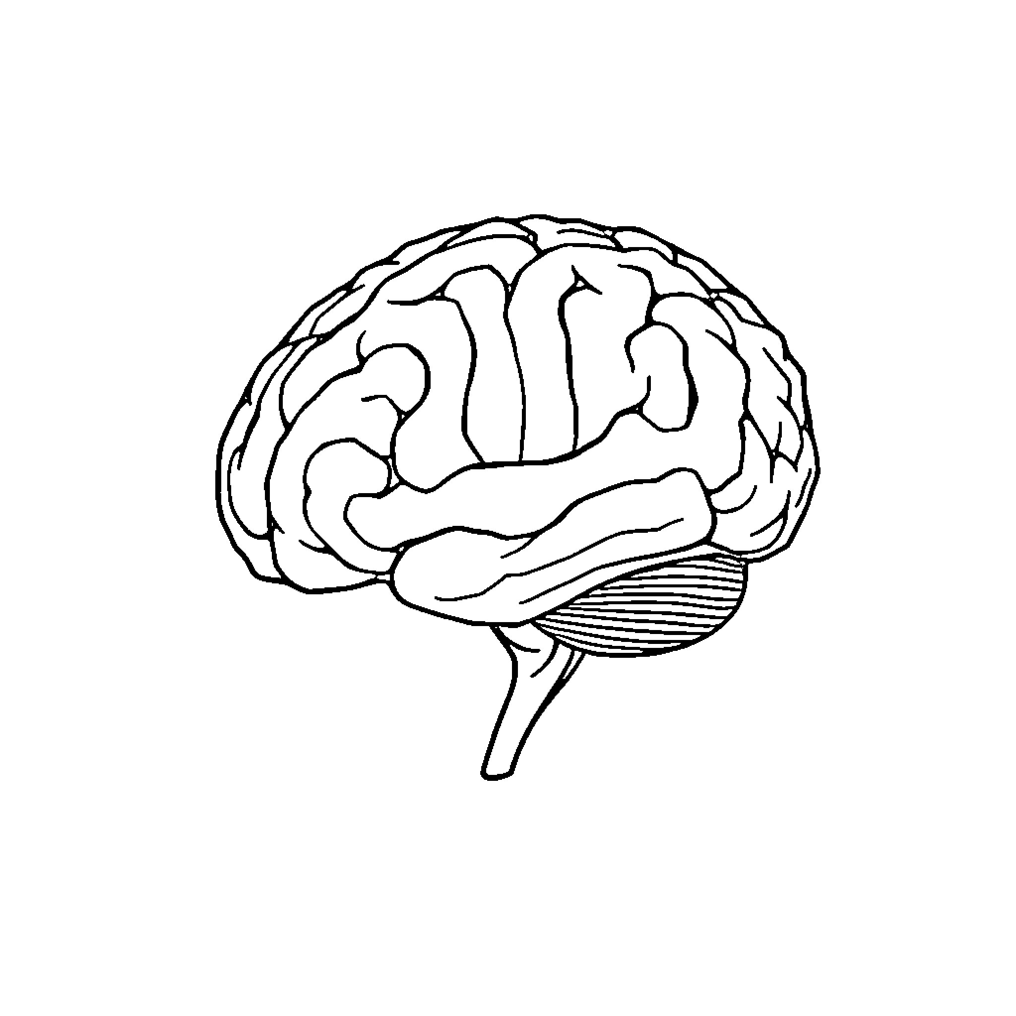 Best Brain Coloring Pages (Free Printable PDF)