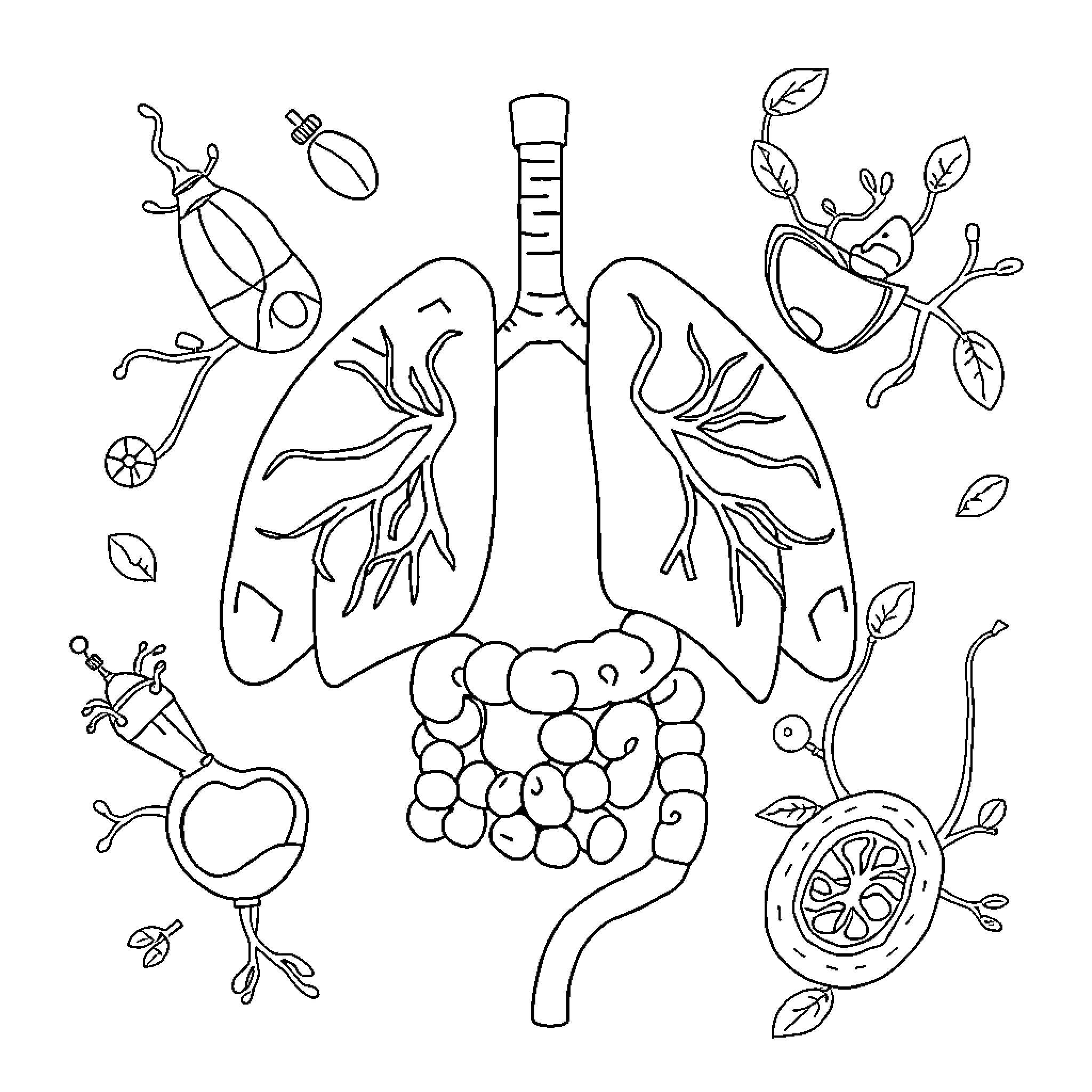 Best Lipid Coloring Pages (Free Printable PDF)