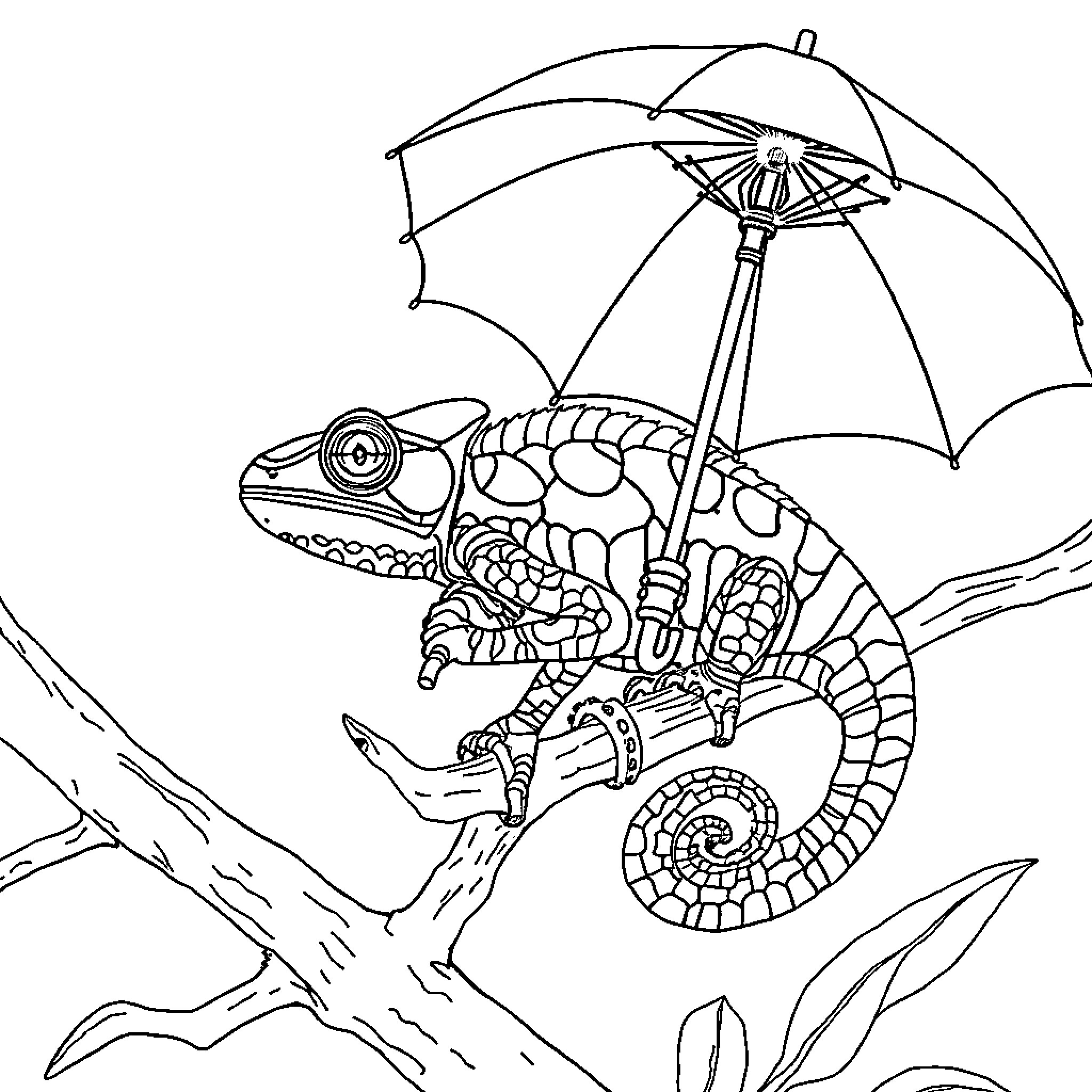 Best Chameleon Coloring Pages (Free Printable PDF)