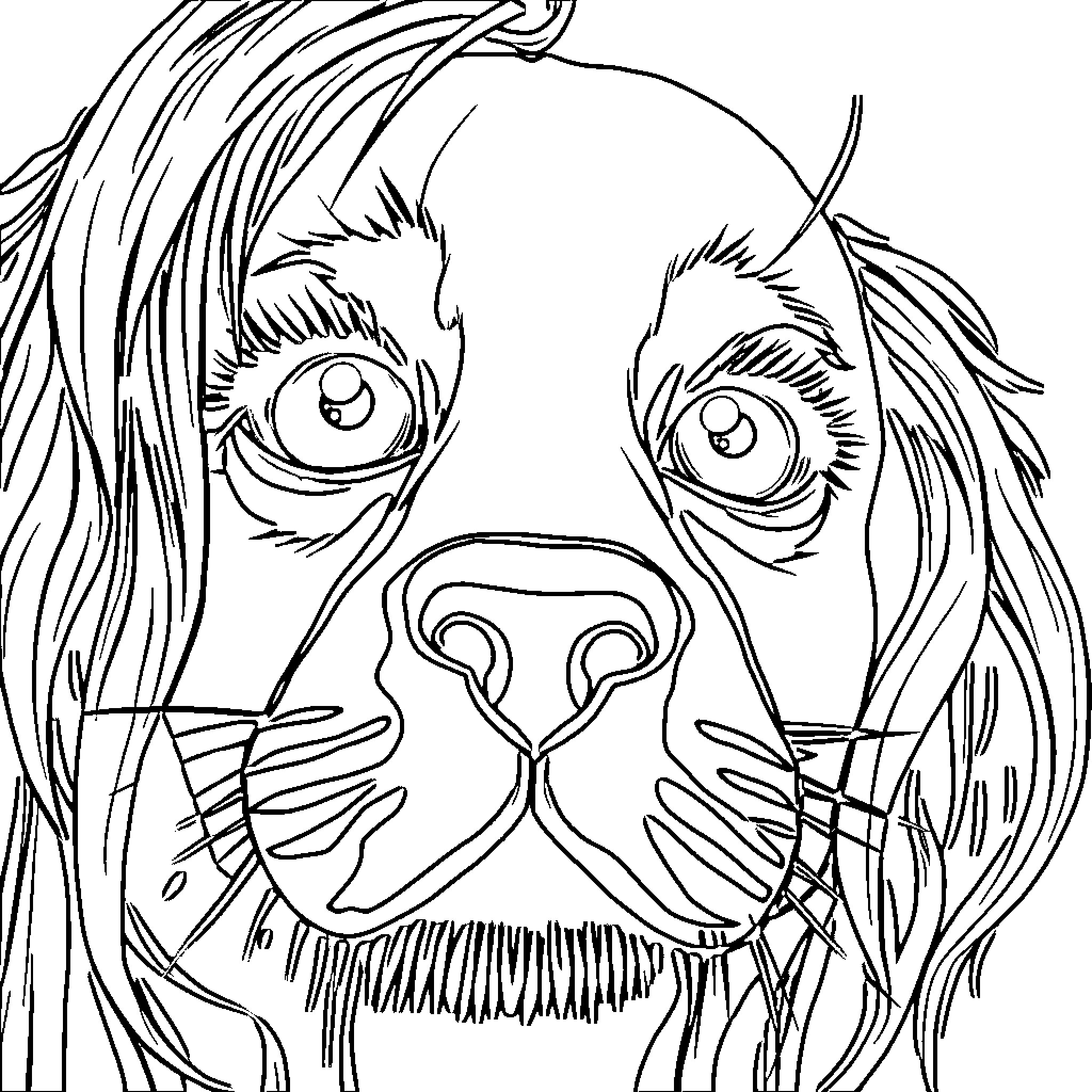 Best Eye Coloring Pages (Free Printable PDF)