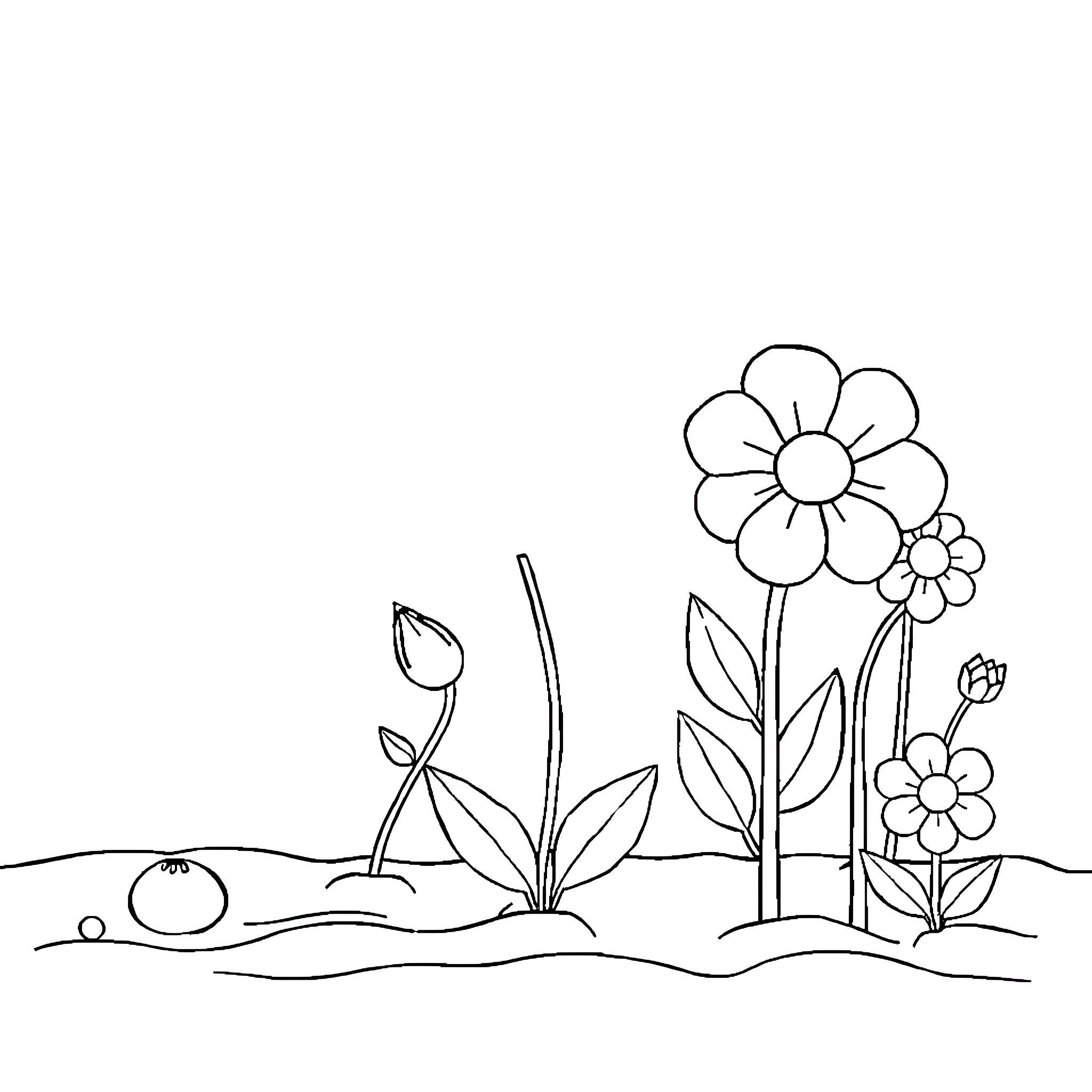 Best Plant Coloring Pages (Free Printable PDF)