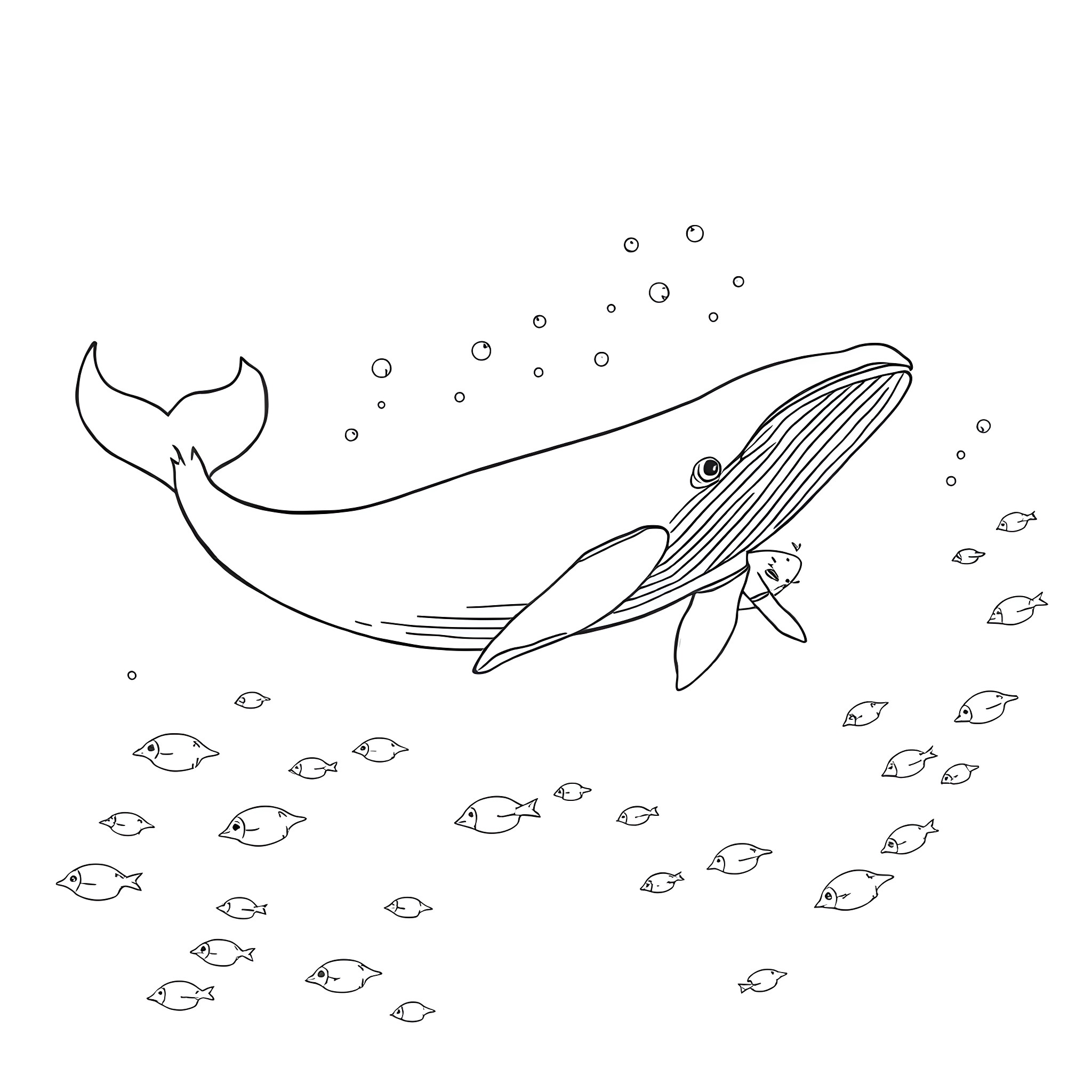 159 Best Whale Coloring Pages (Free Printable PDFs)